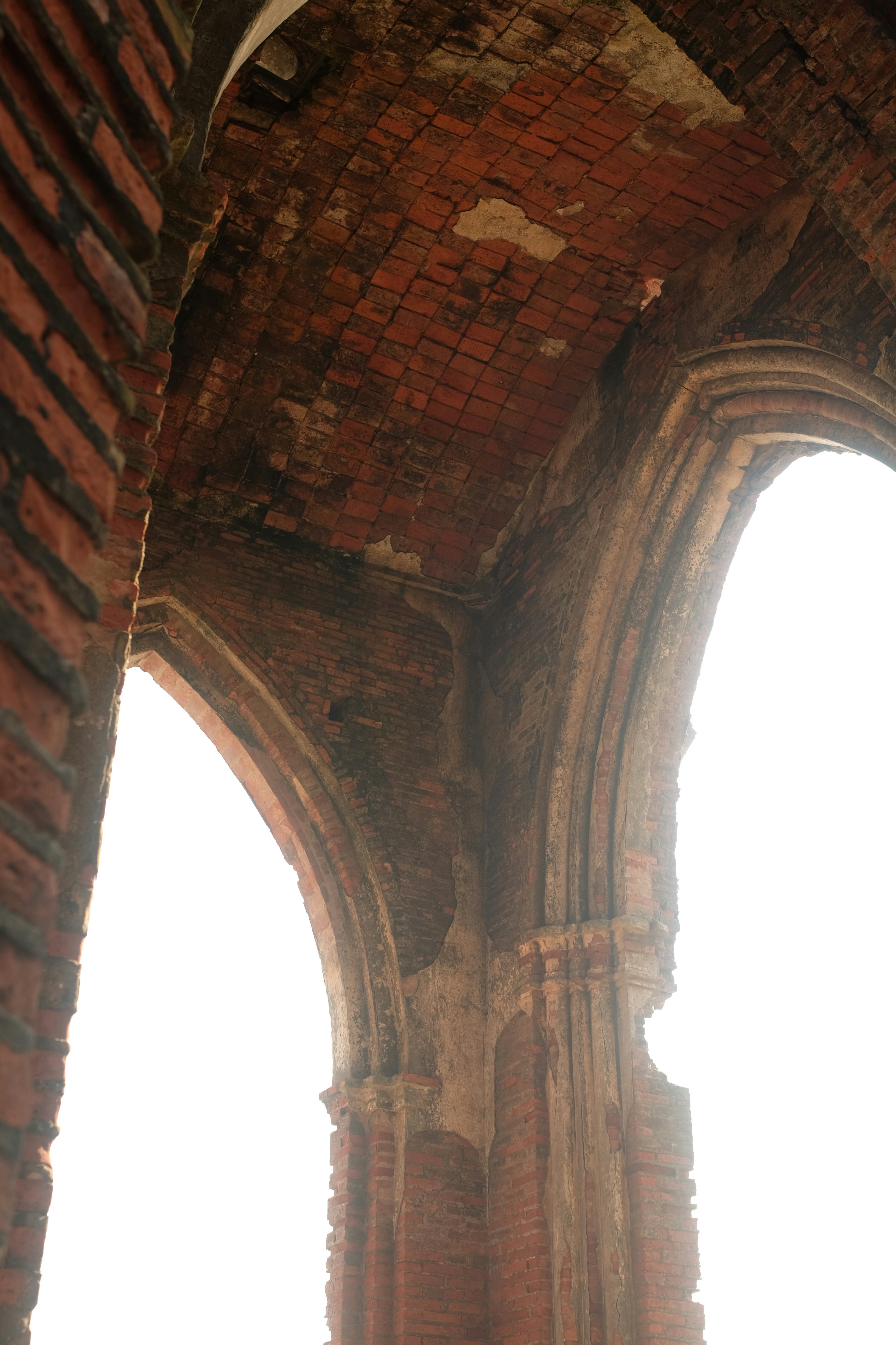 Echoes of Architectural Elegance