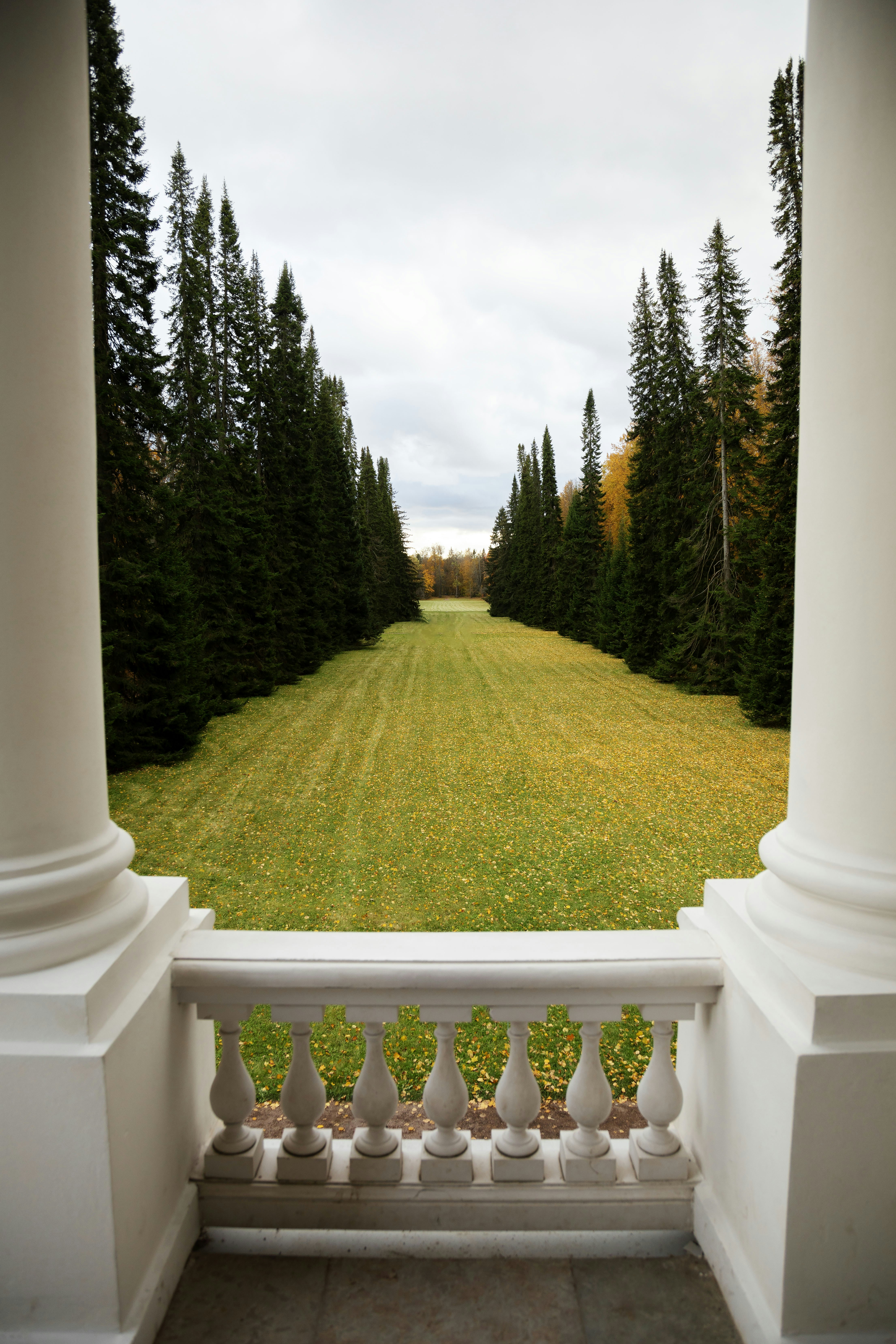 A lush green pathway framed by towering conifers, leading into a serene landscape dotted with yellow leaves. The scene is viewed from a classic architectural balcony.