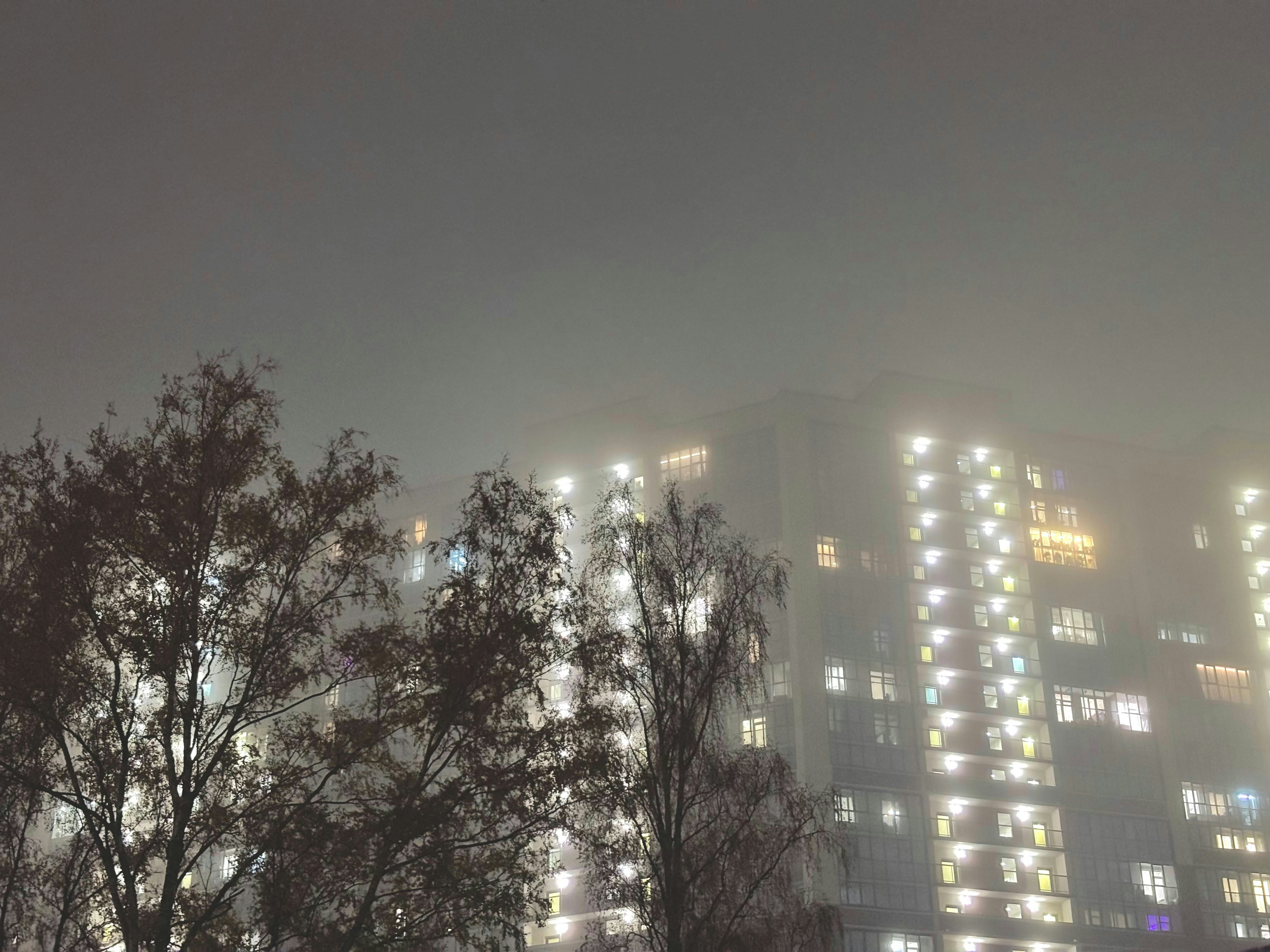 Whispers of Light in the Fog