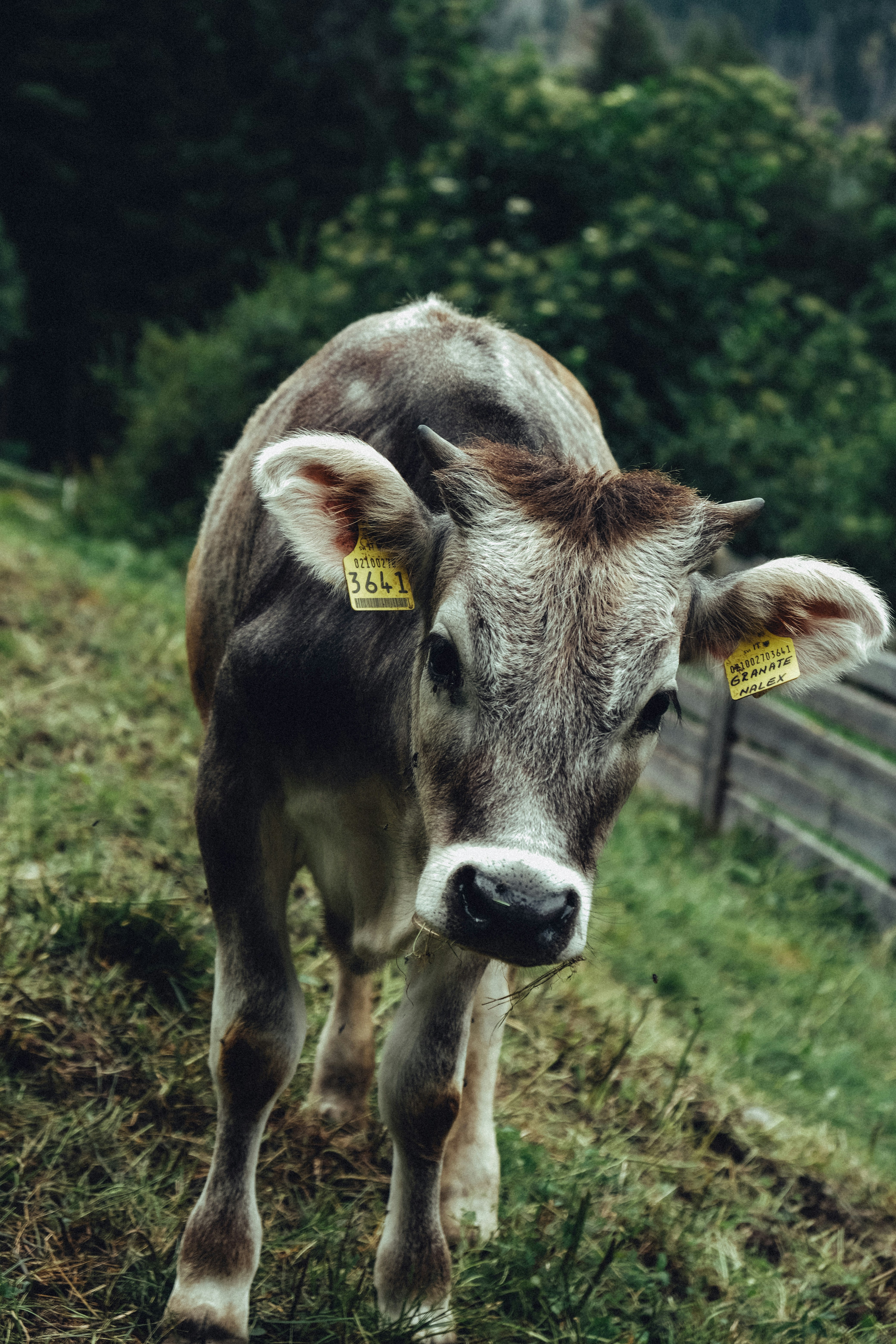 Photo by Ben Kupke with Fujifilm X-T3