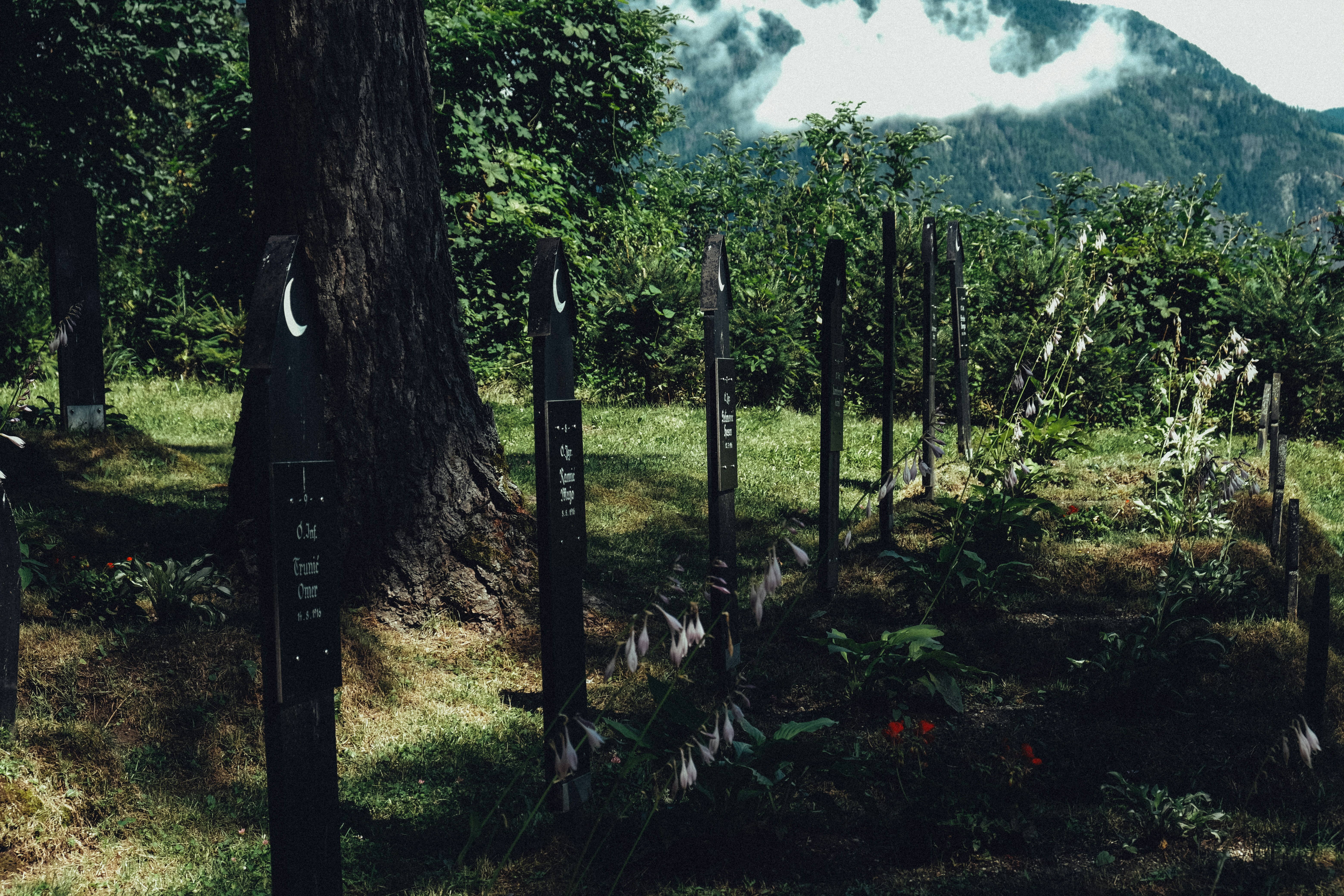 Photo by Ben Kupke with Fujifilm X-T3