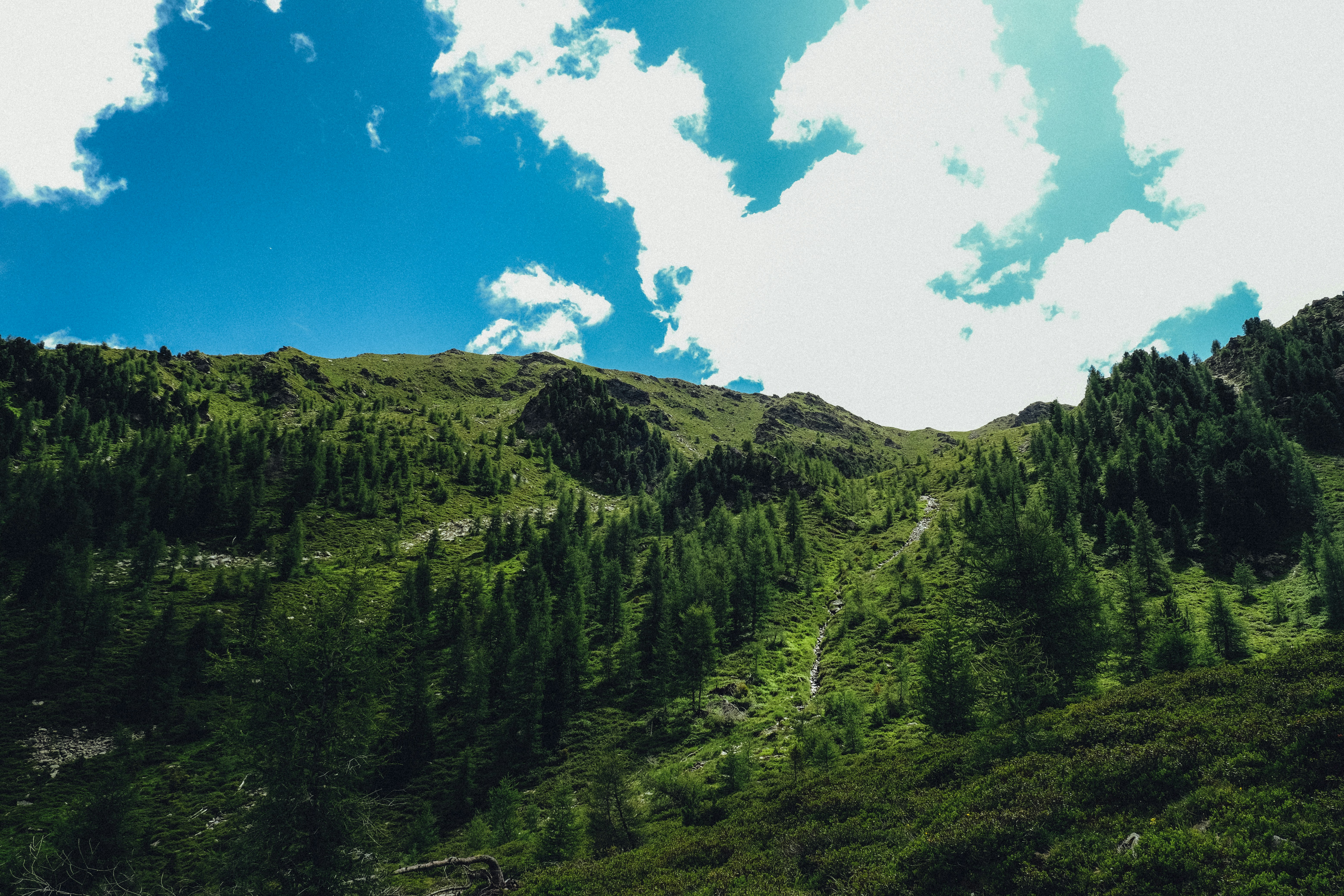 Photo by Ben Kupke with Fujifilm X-T3