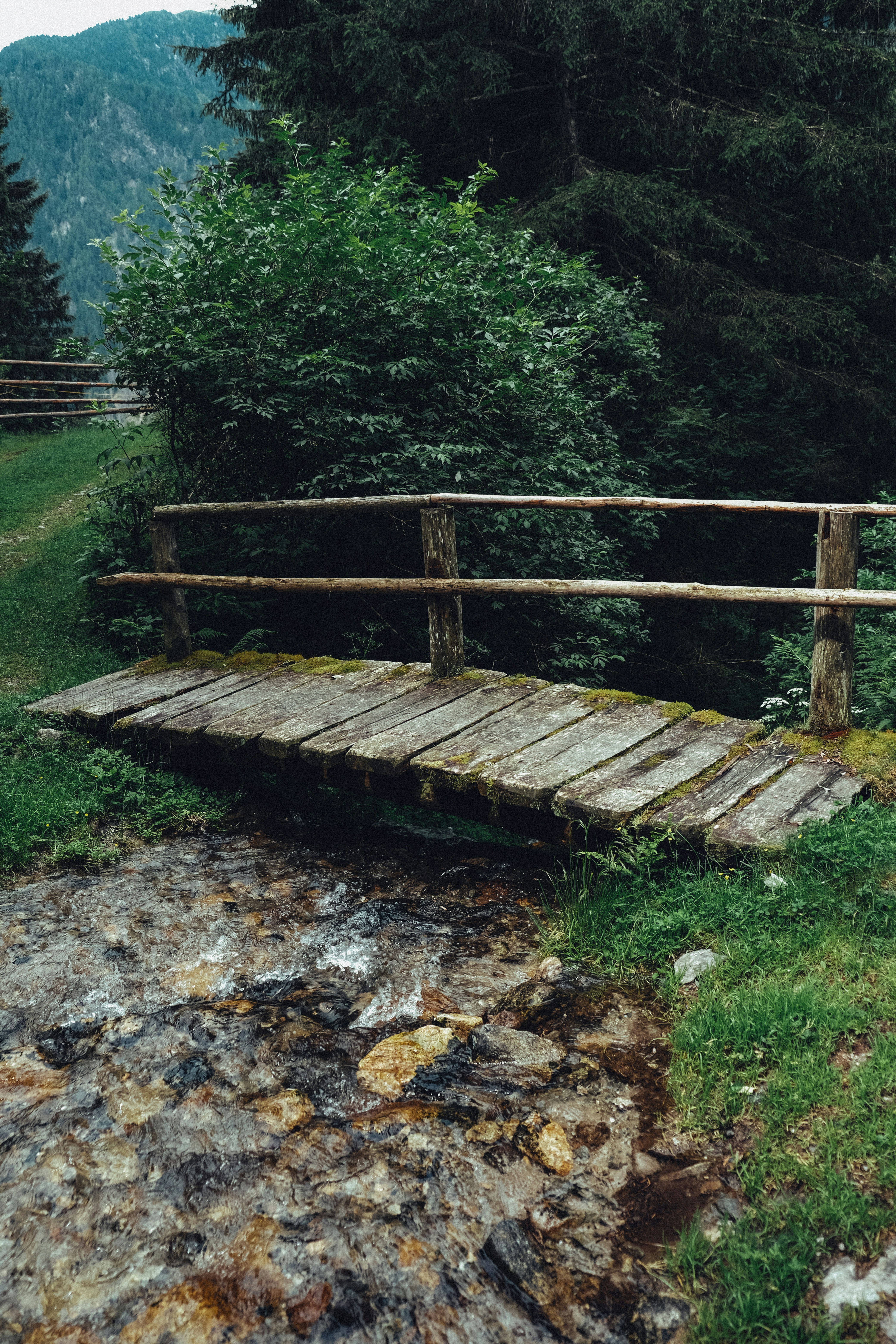 Alpine Moss Footbridge: A Quiet Crossing Over a Mountain Creek