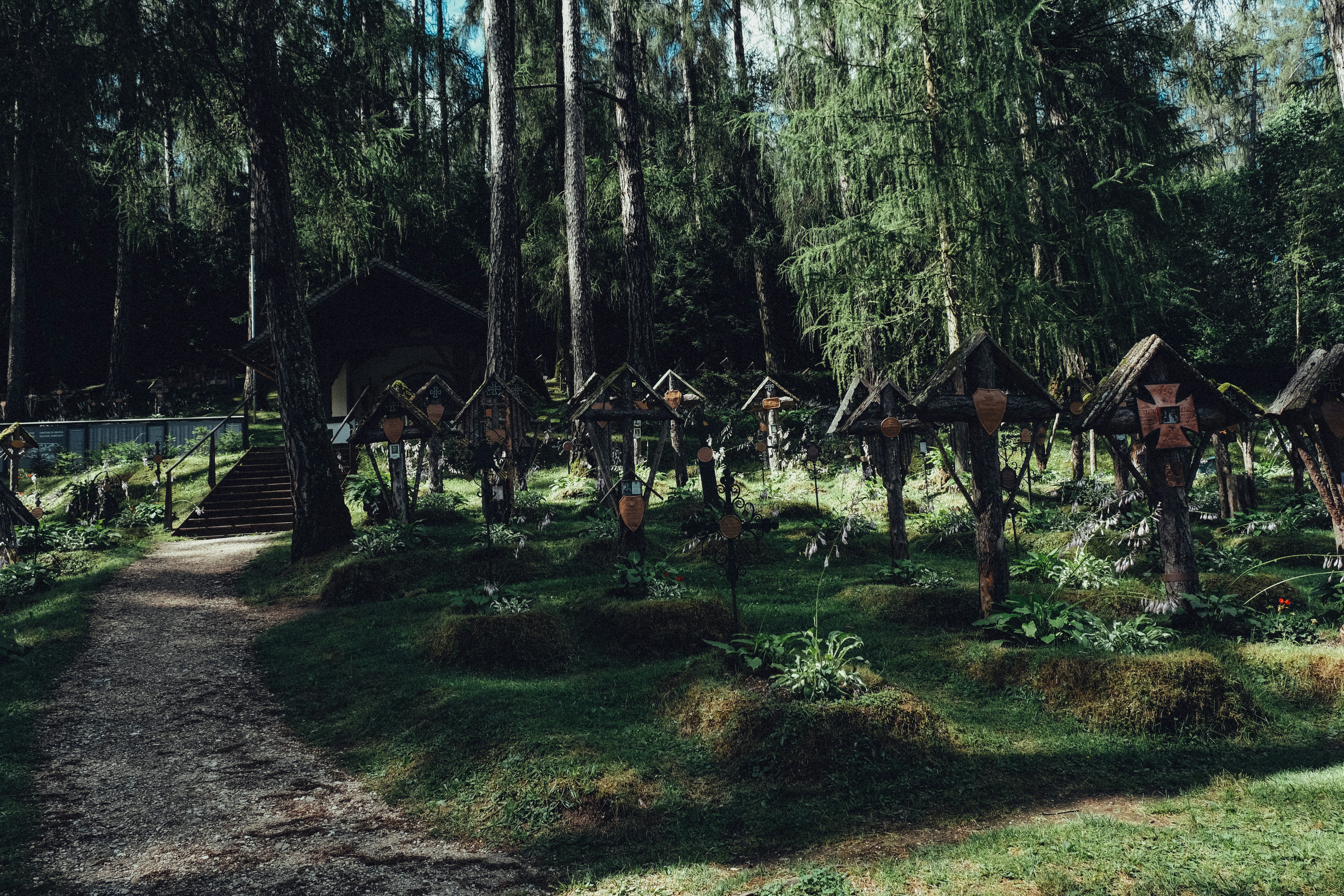 Row of Stilts and Huts Through a Pine Clearing