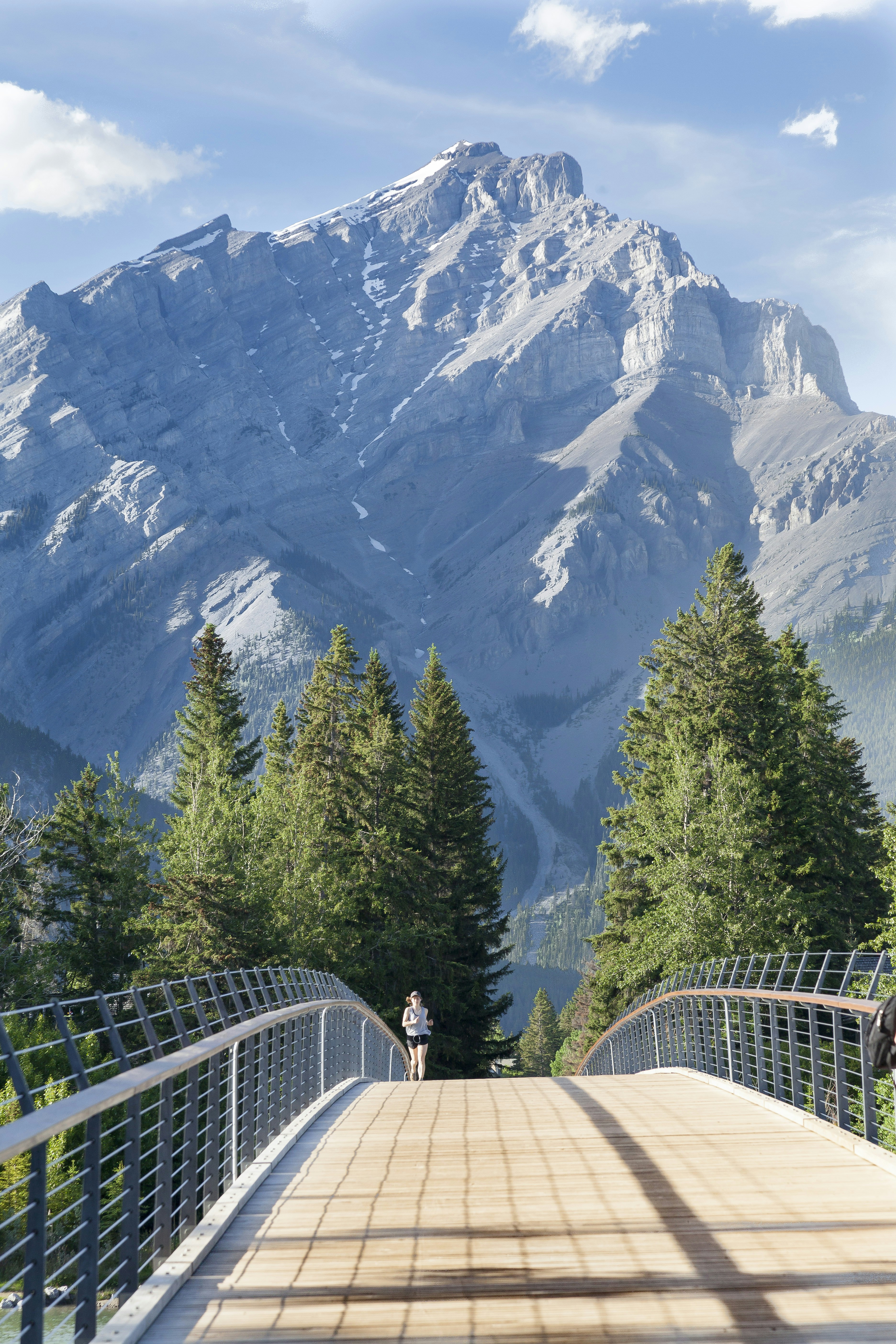 Pathway to the Peaks: A Journey Through Nature's Majesty
