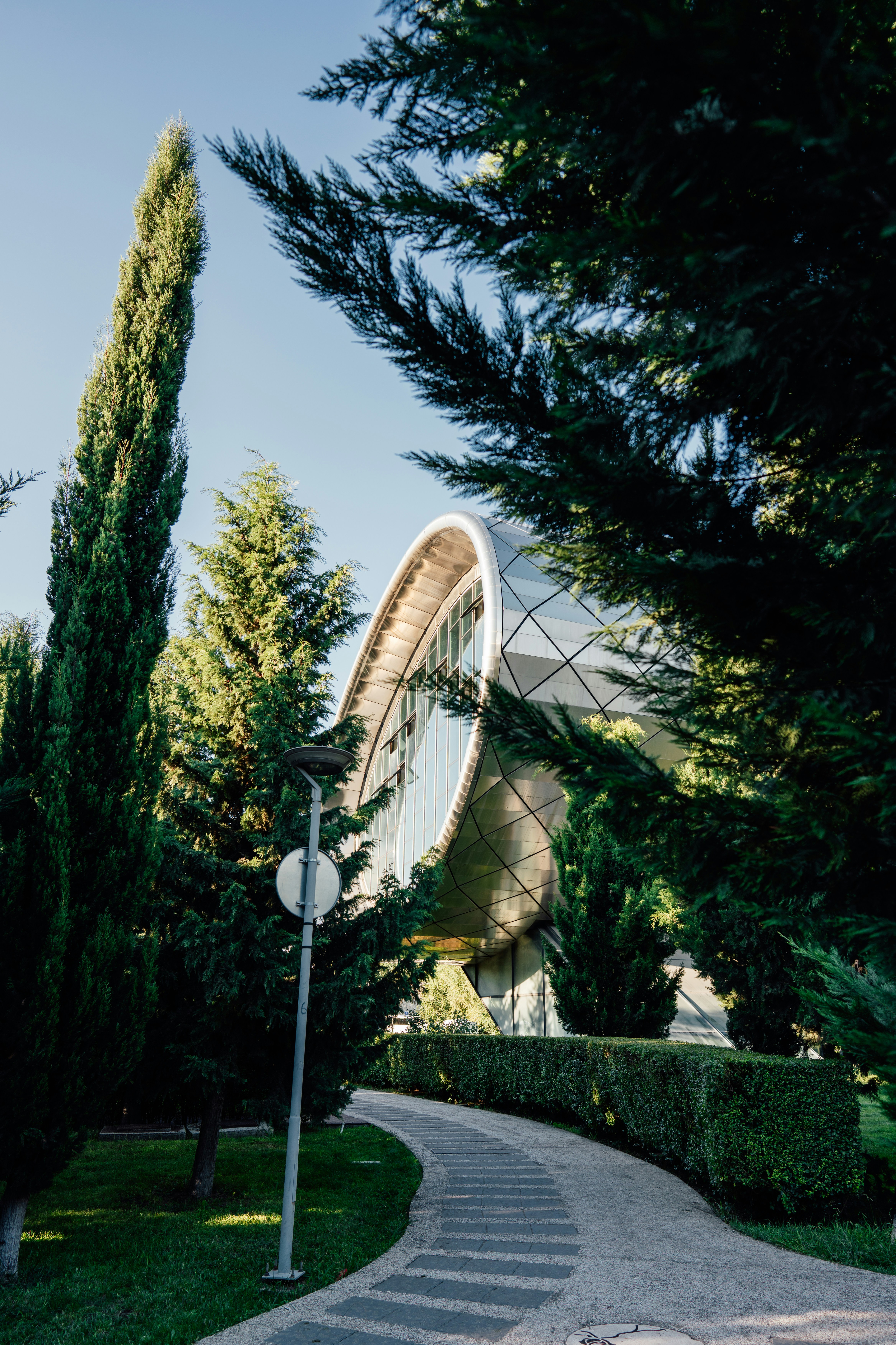 Arc of Glass Amid Evergreen Lines