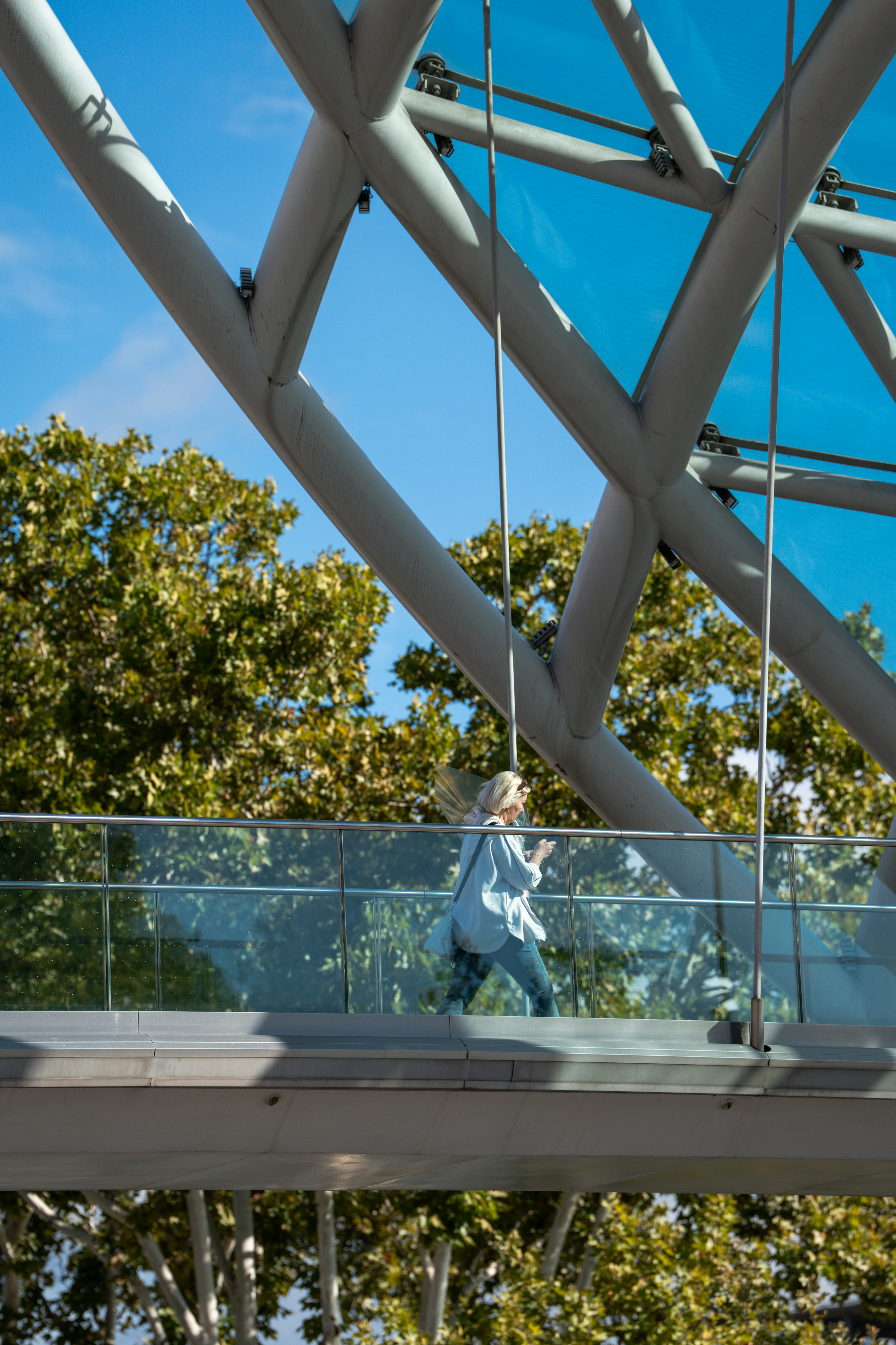 Traveler on a Glass Walkway Beneath a Web of Steel