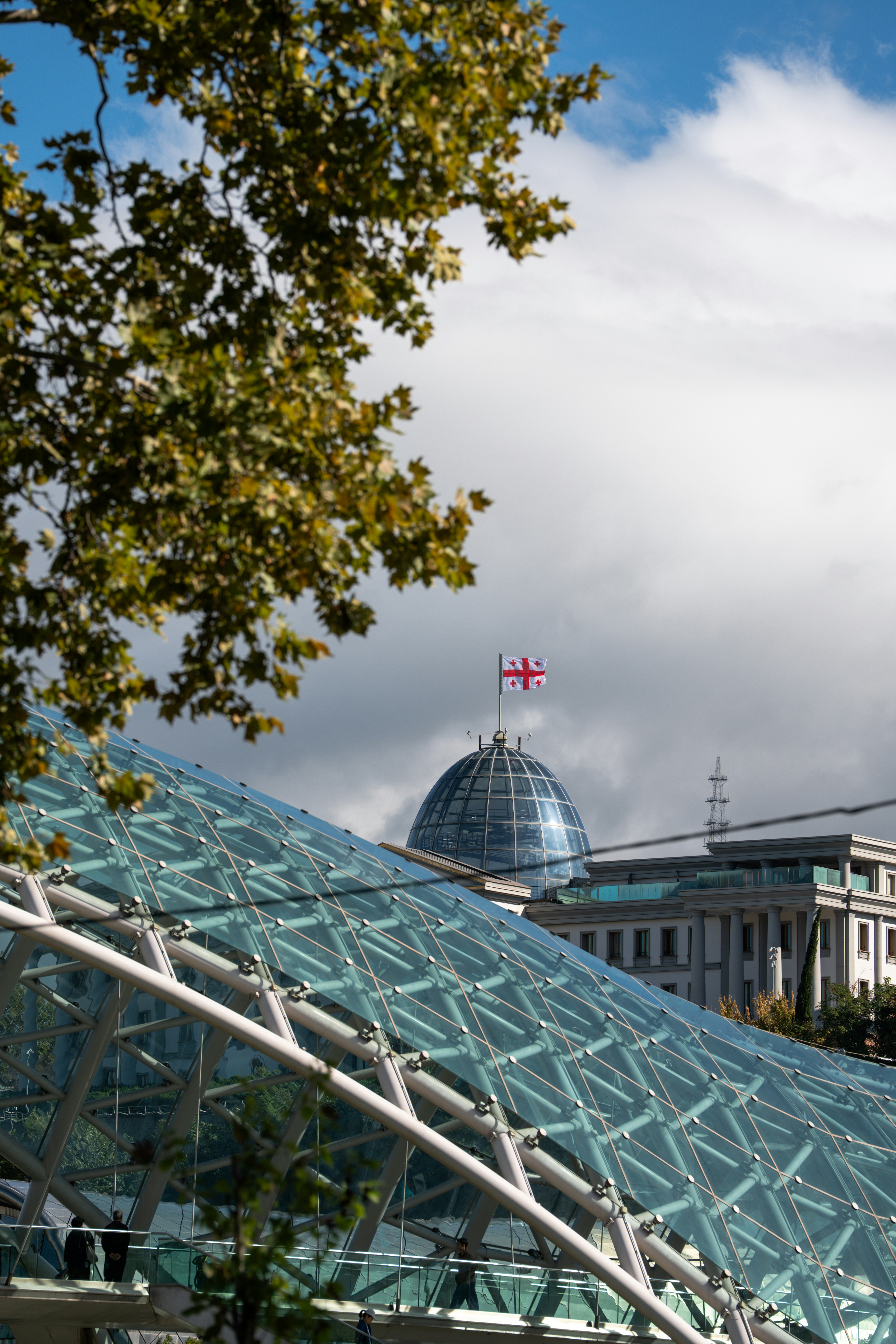 Canopy Lines Converge on a Flag-Topped Dome