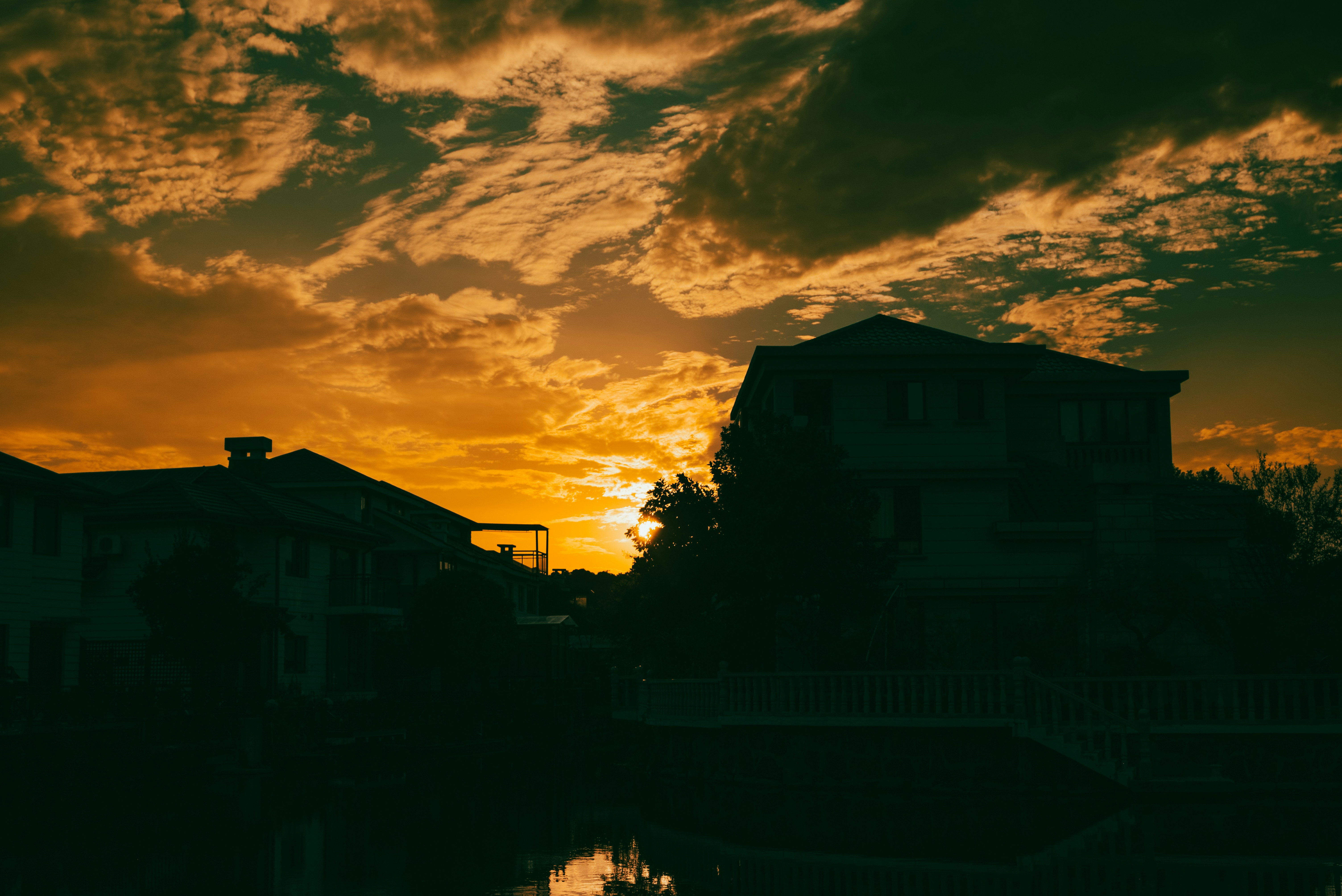 Silhouettes at Dusk: The Calm Before Nightfall