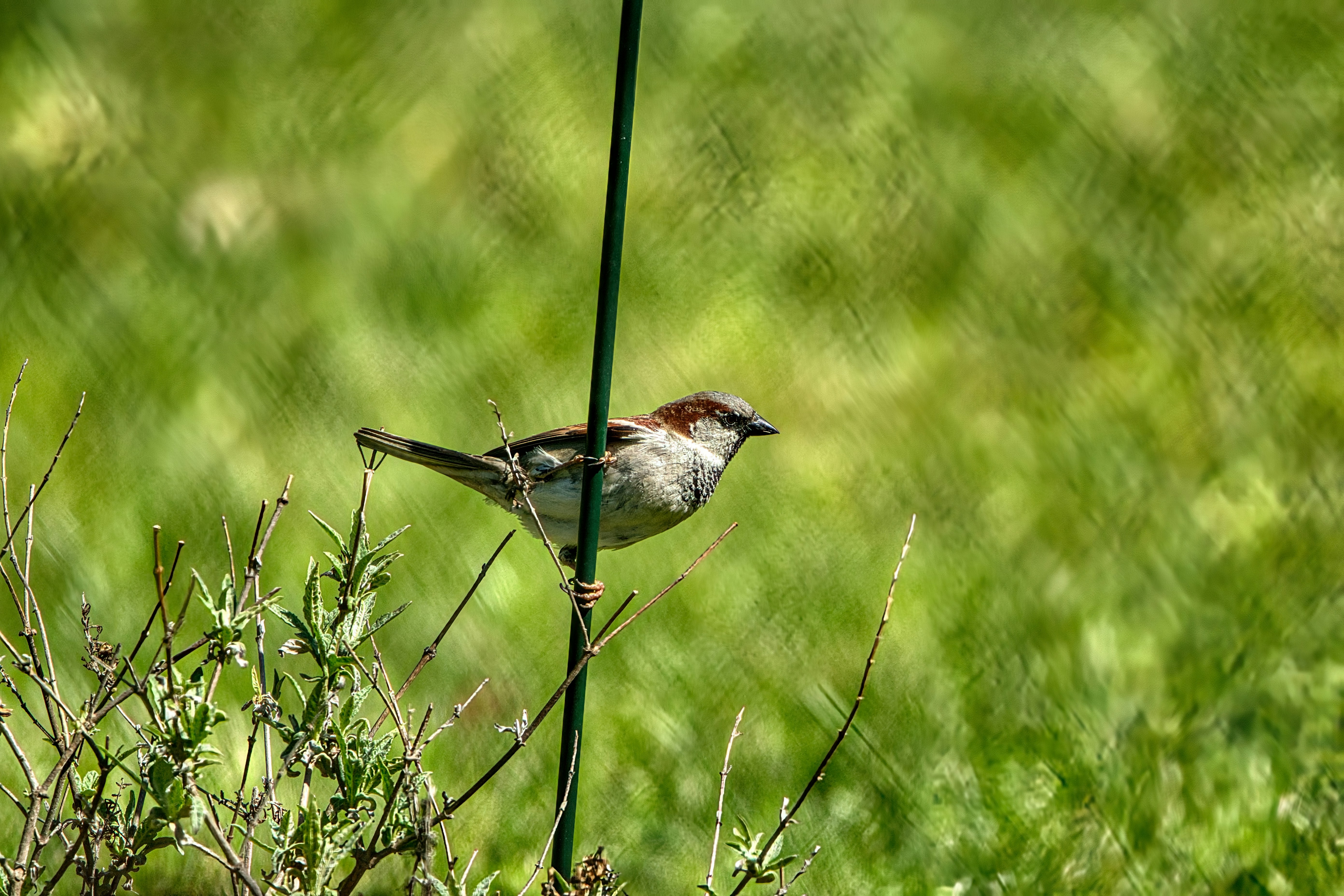 Photo by Foto Micha with Nikon Z50