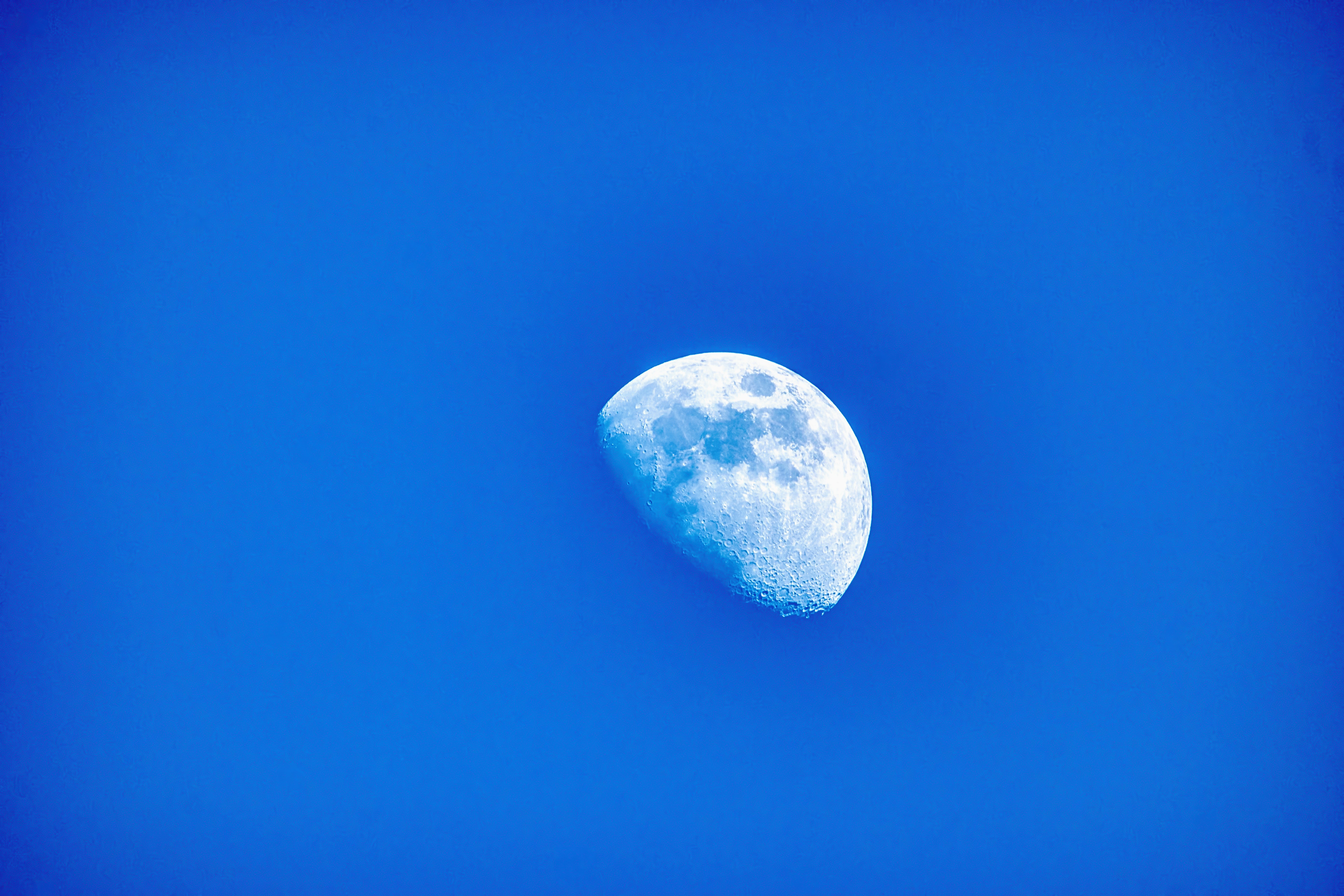 Celestial Silhouette: A Moonlit Encounter