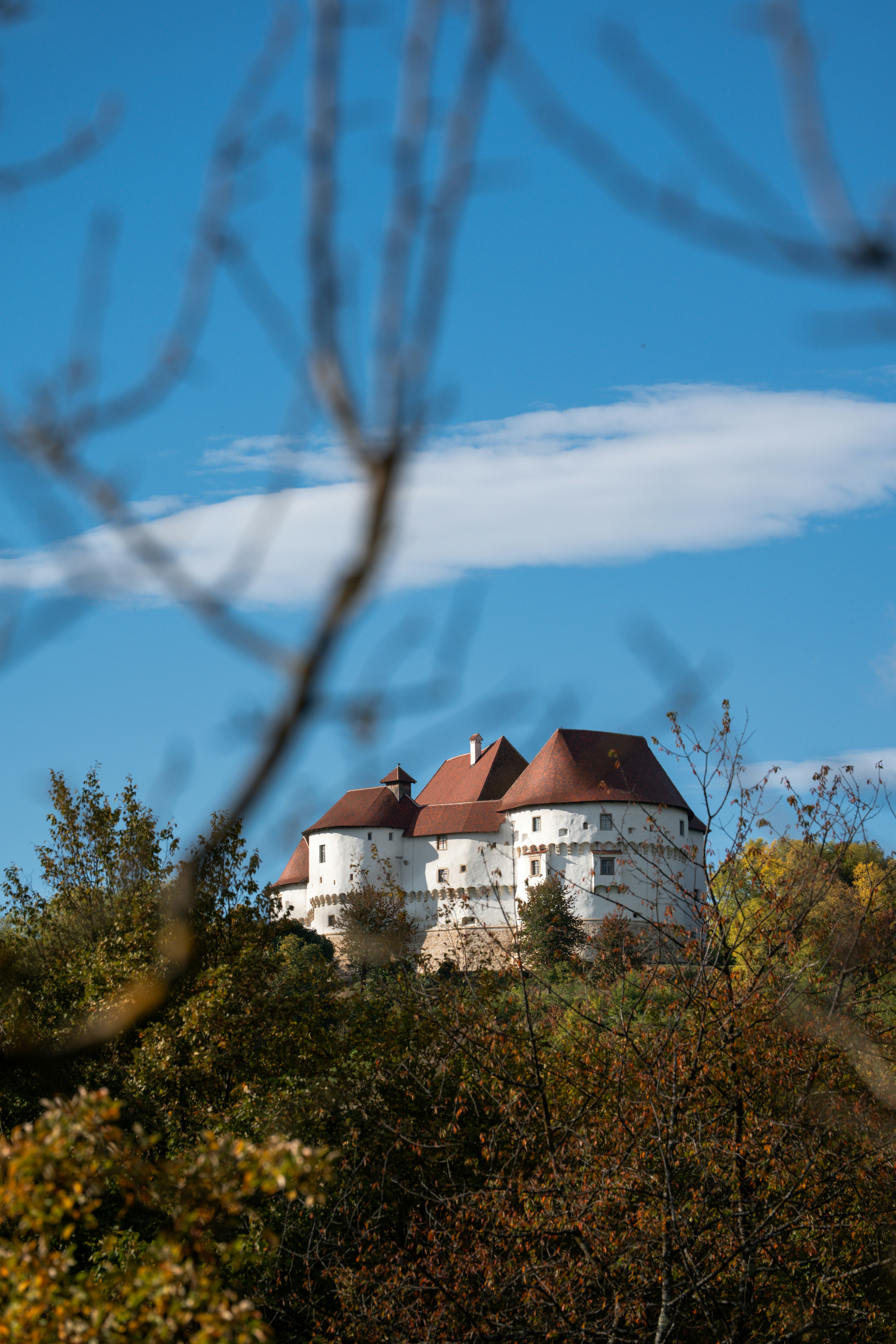 White castle with red roofs on a hill