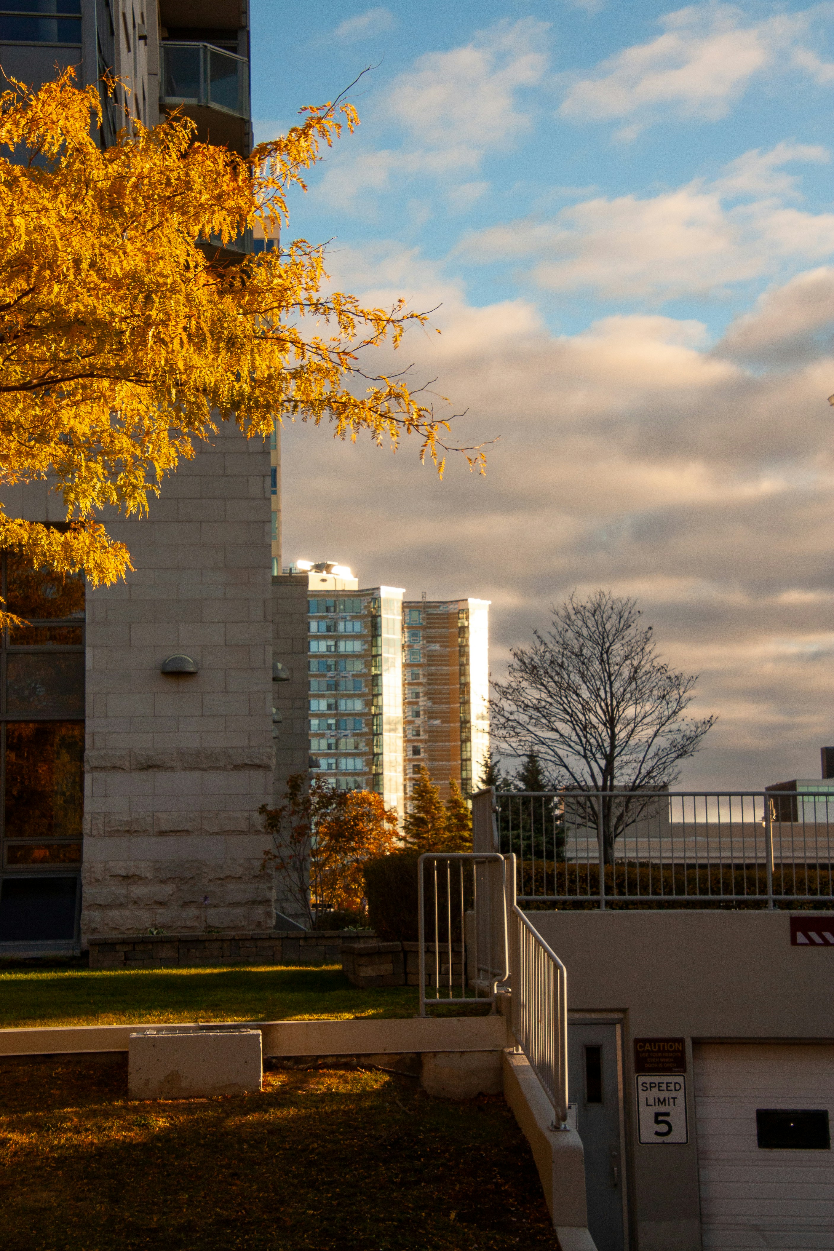 Amber Canopy over a City Edge: Sunlit Glass and Autumn Light