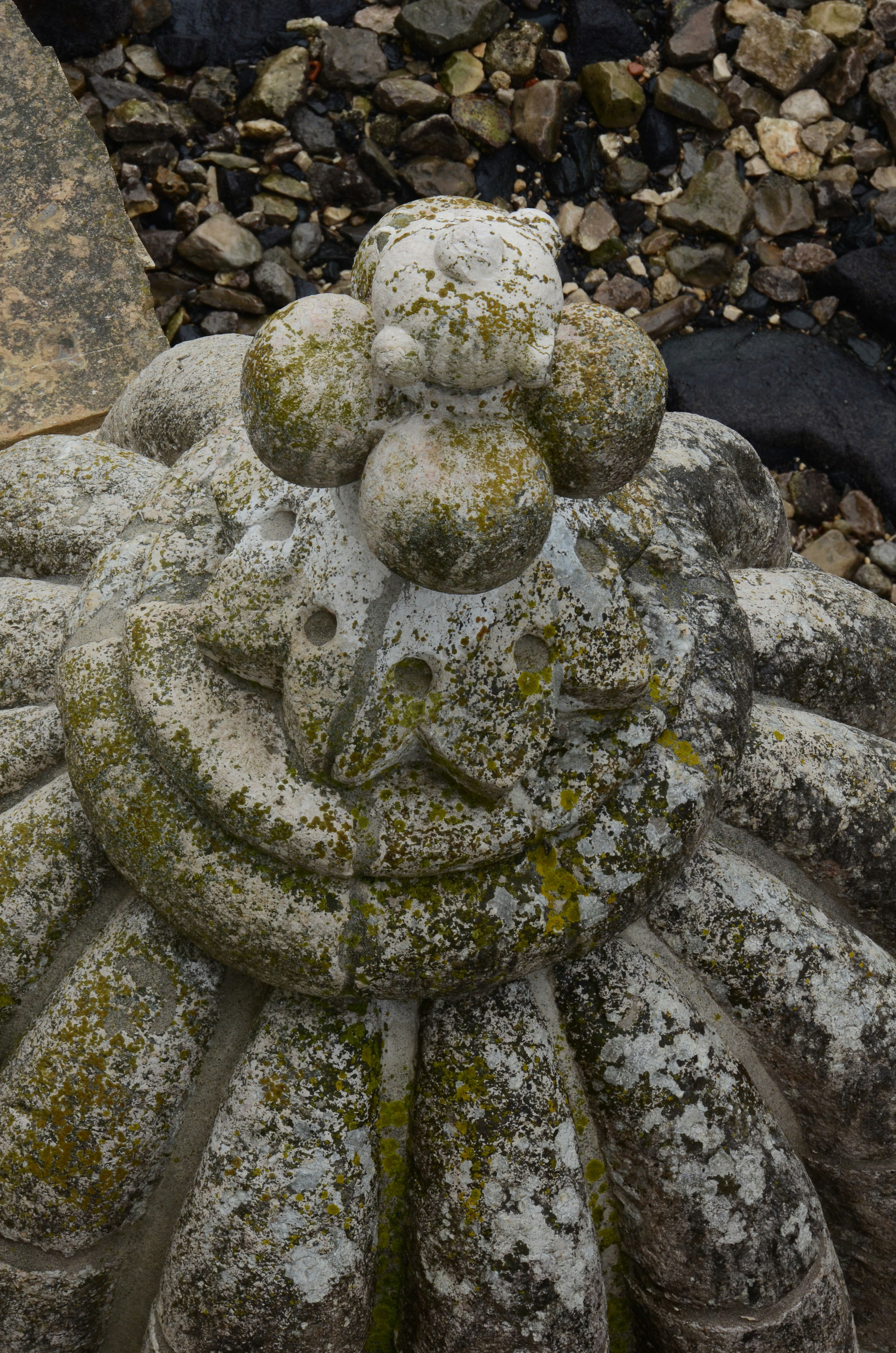 Whispers of Time: The Weathered Guardian