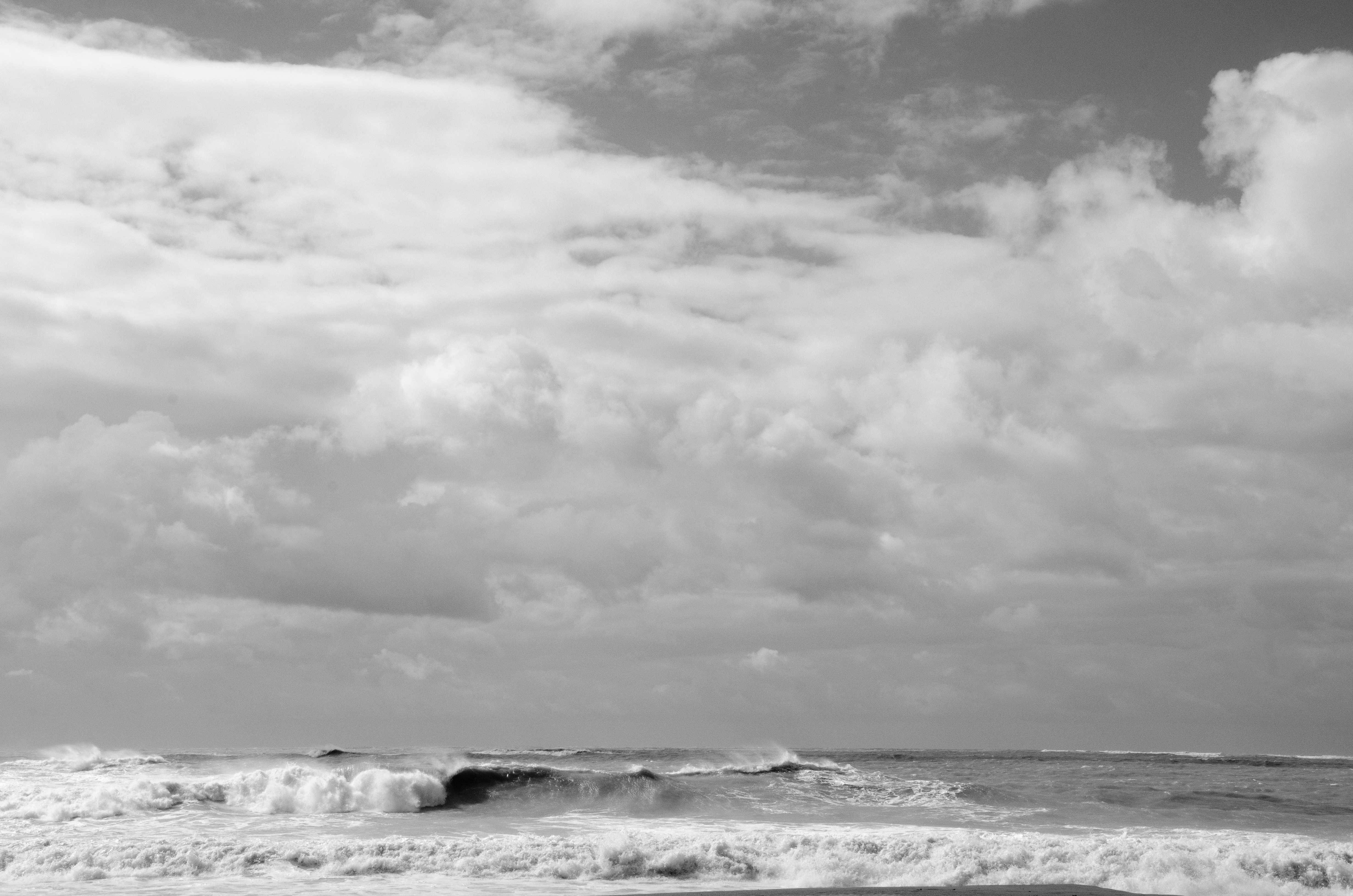 Whispers of the Ocean's Embrace