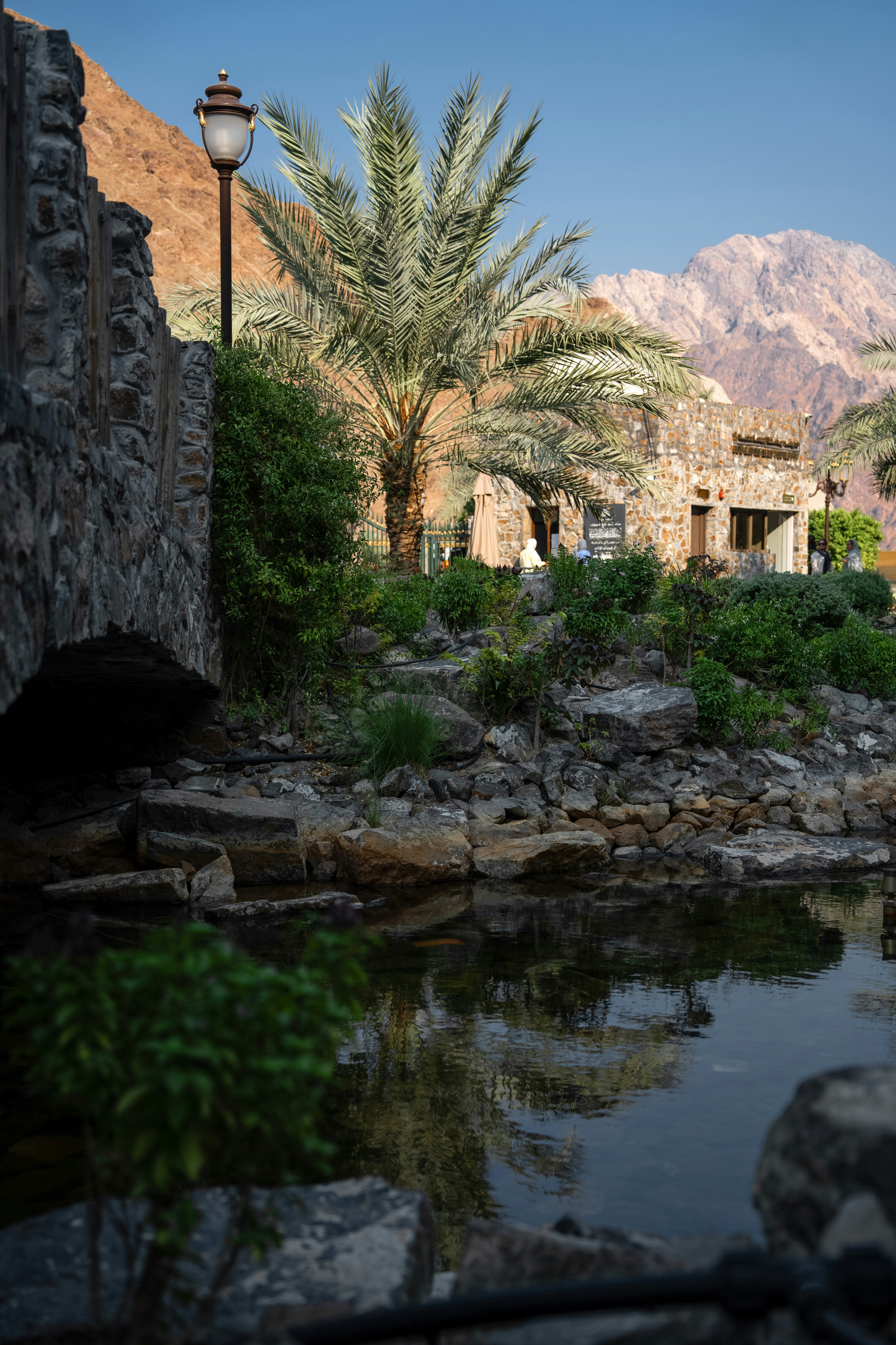 Harmony of Nature and Architecture in Serene Oasis
