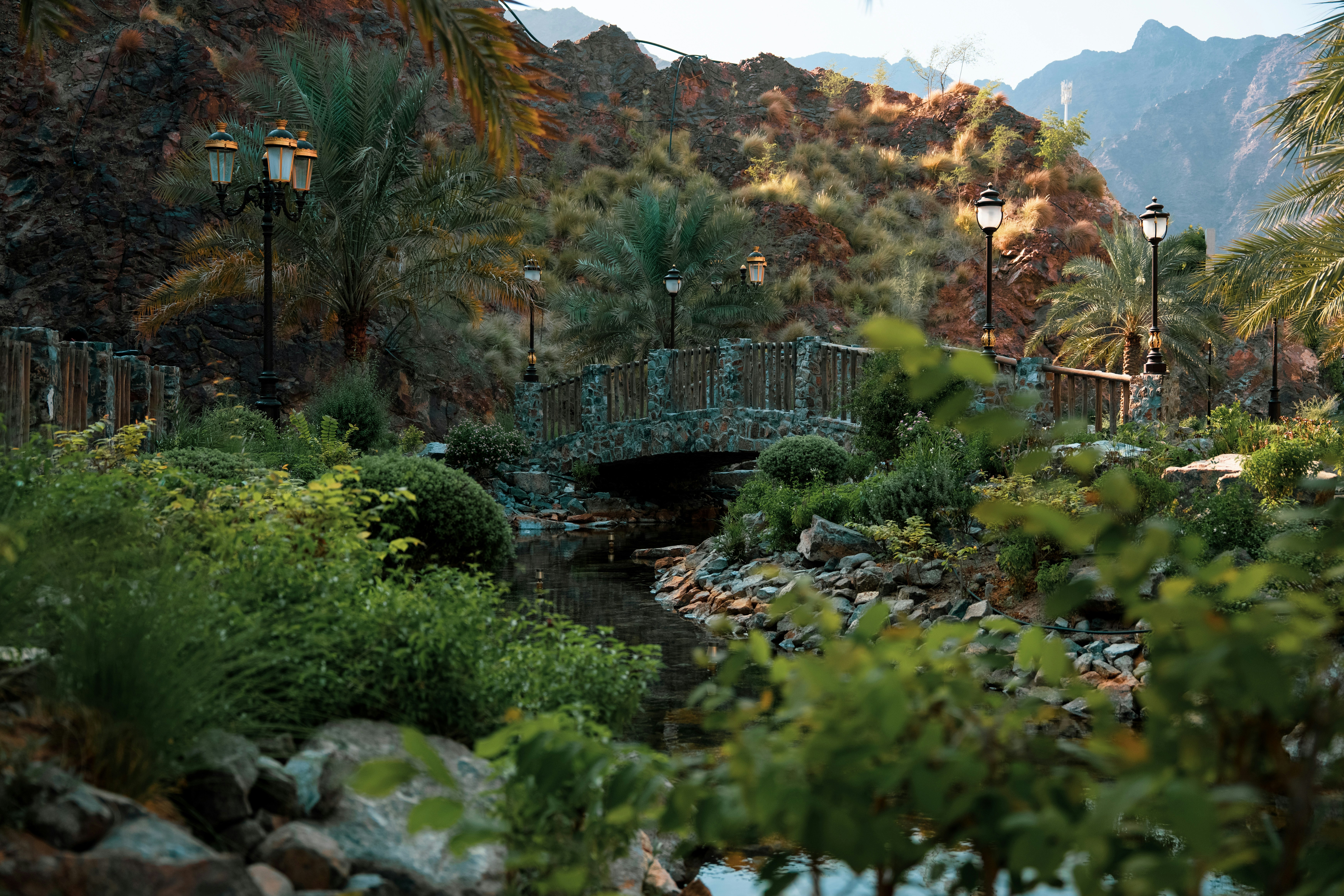Serenity in the Valley: A Hidden Oasis