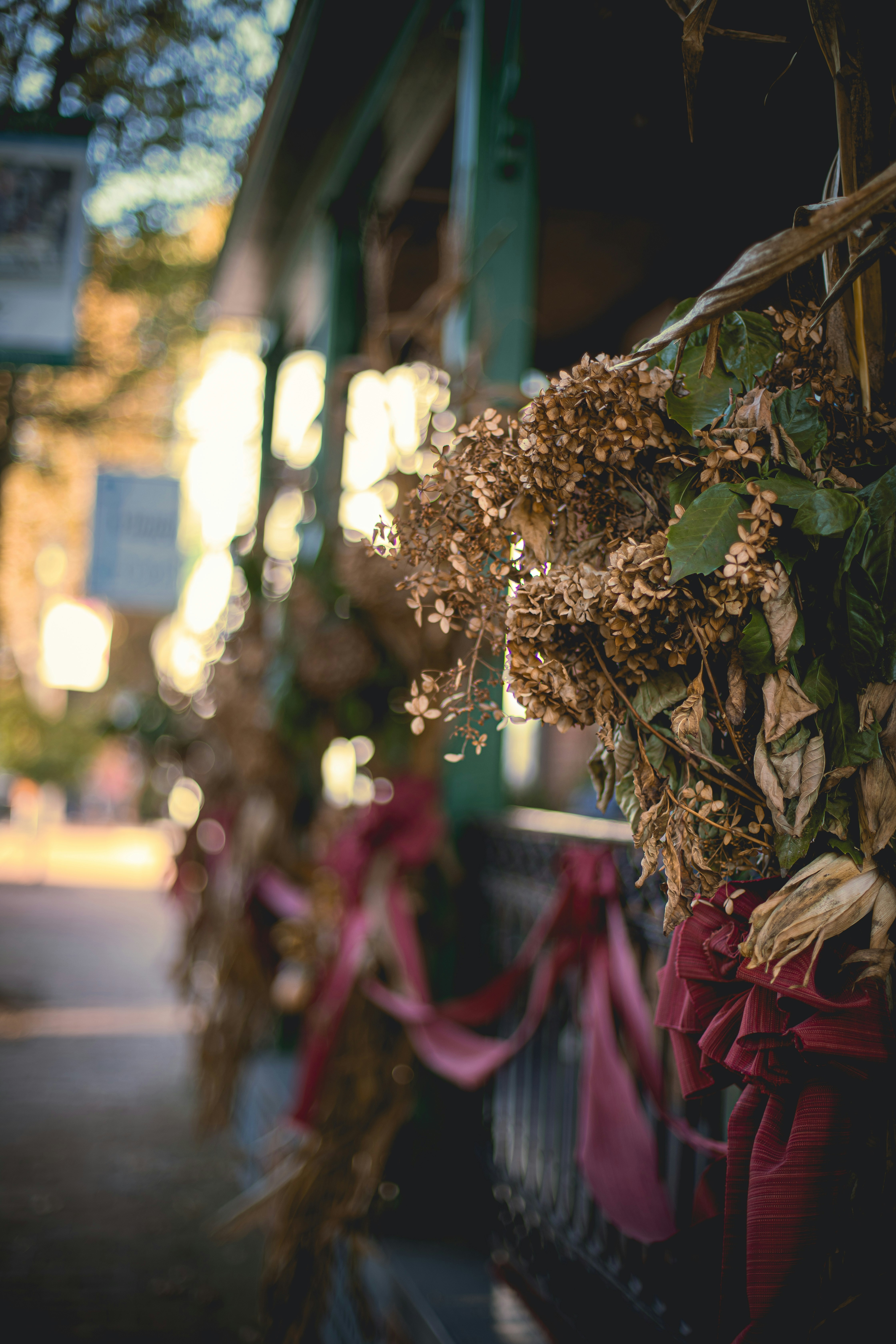 Whispers of Autumn: A Seasonal Embrace