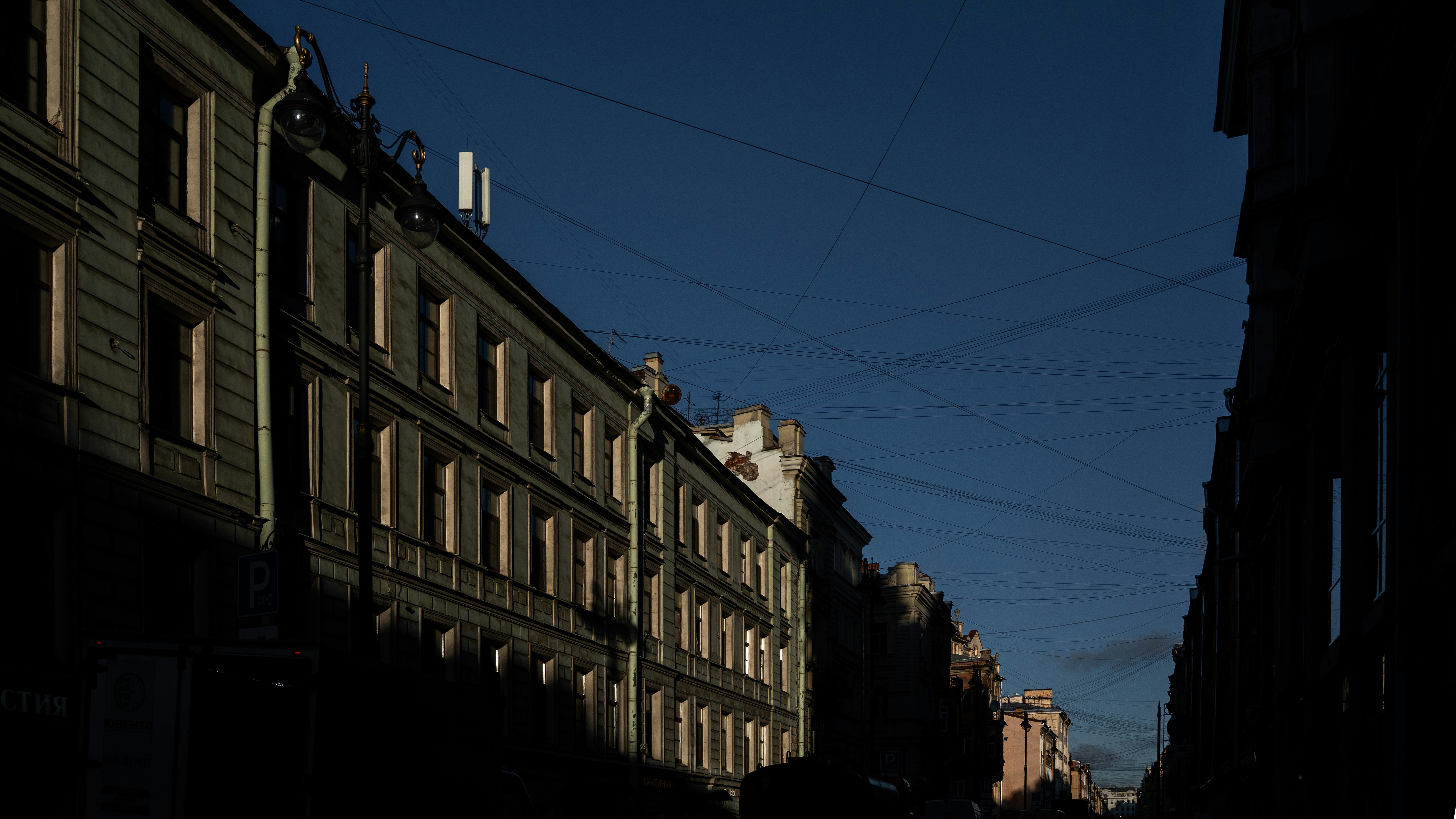 Whispers of Twilight in Urban Shadows