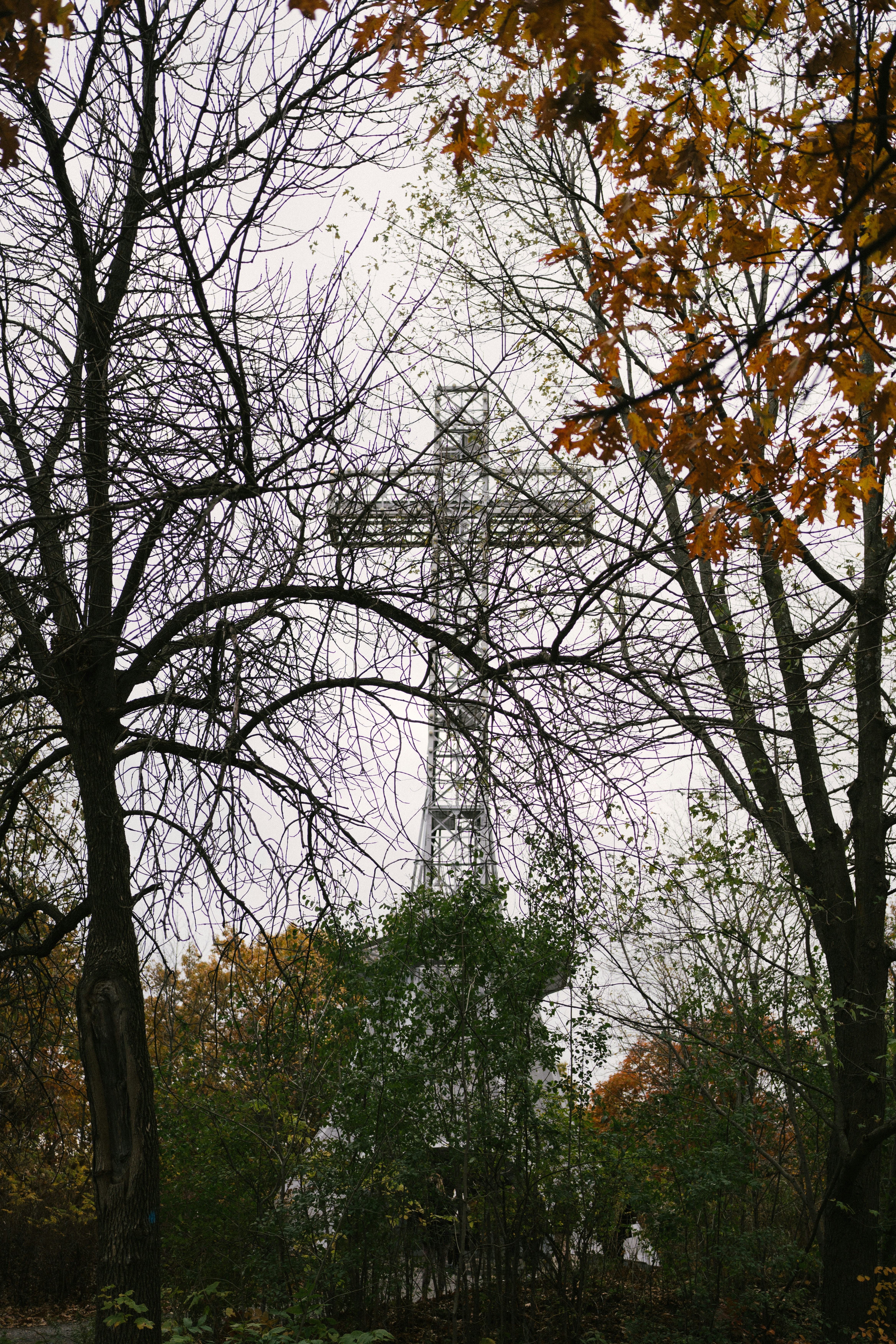 Tall cross structure framed by autumn trees