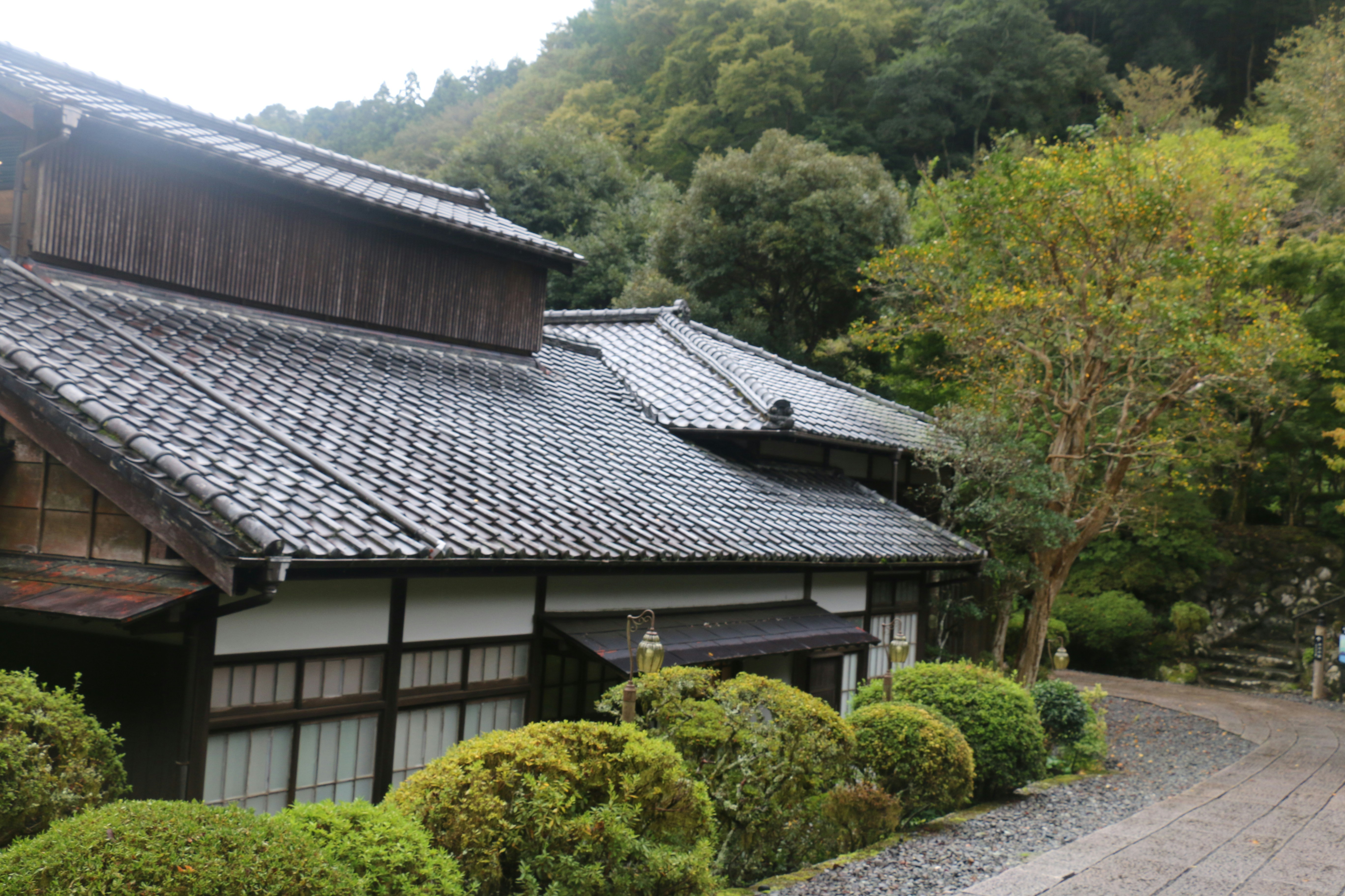 Traditional japanese house surrounded by lush greenery