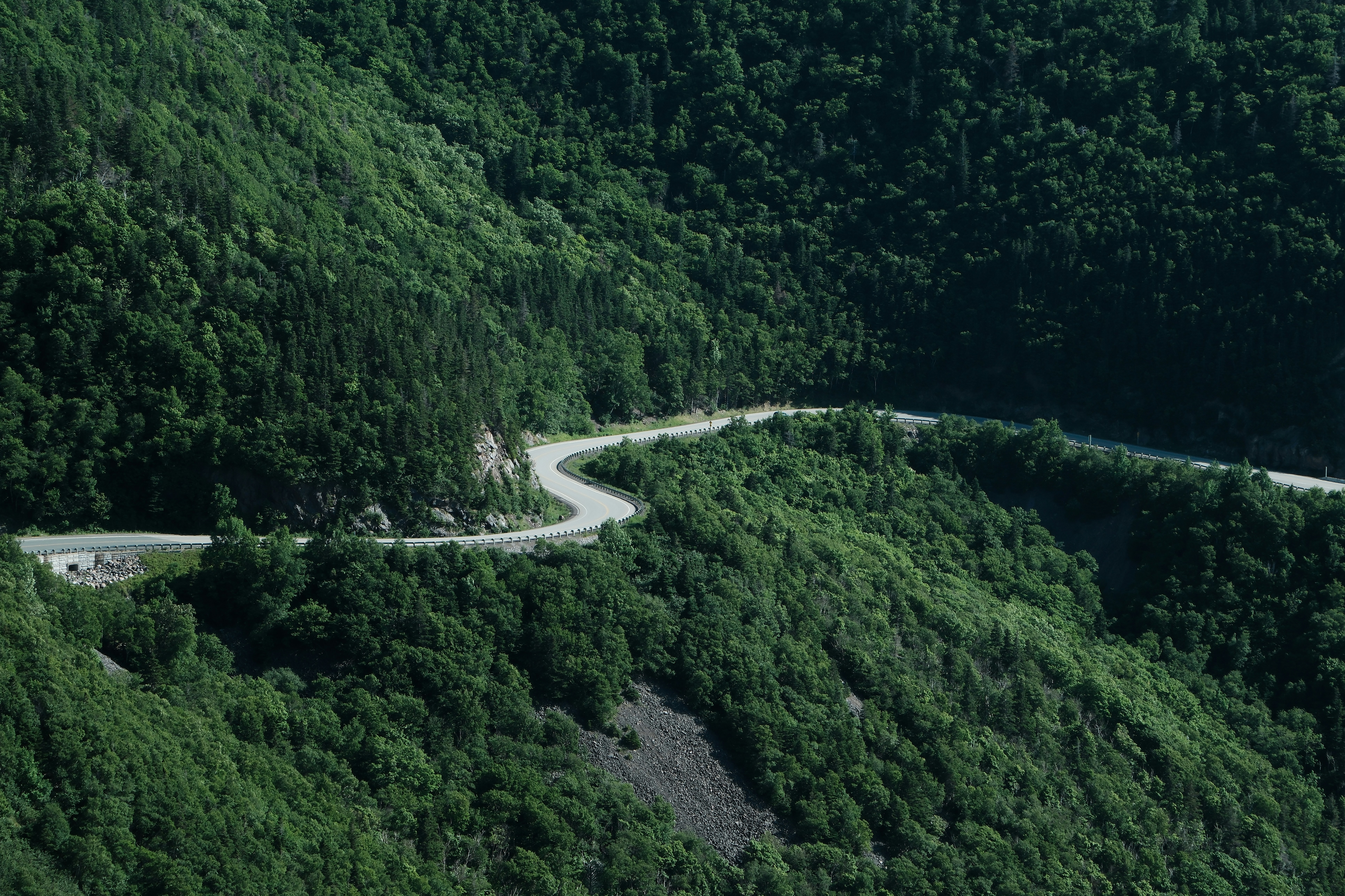 A winding road through a lush green forest.
