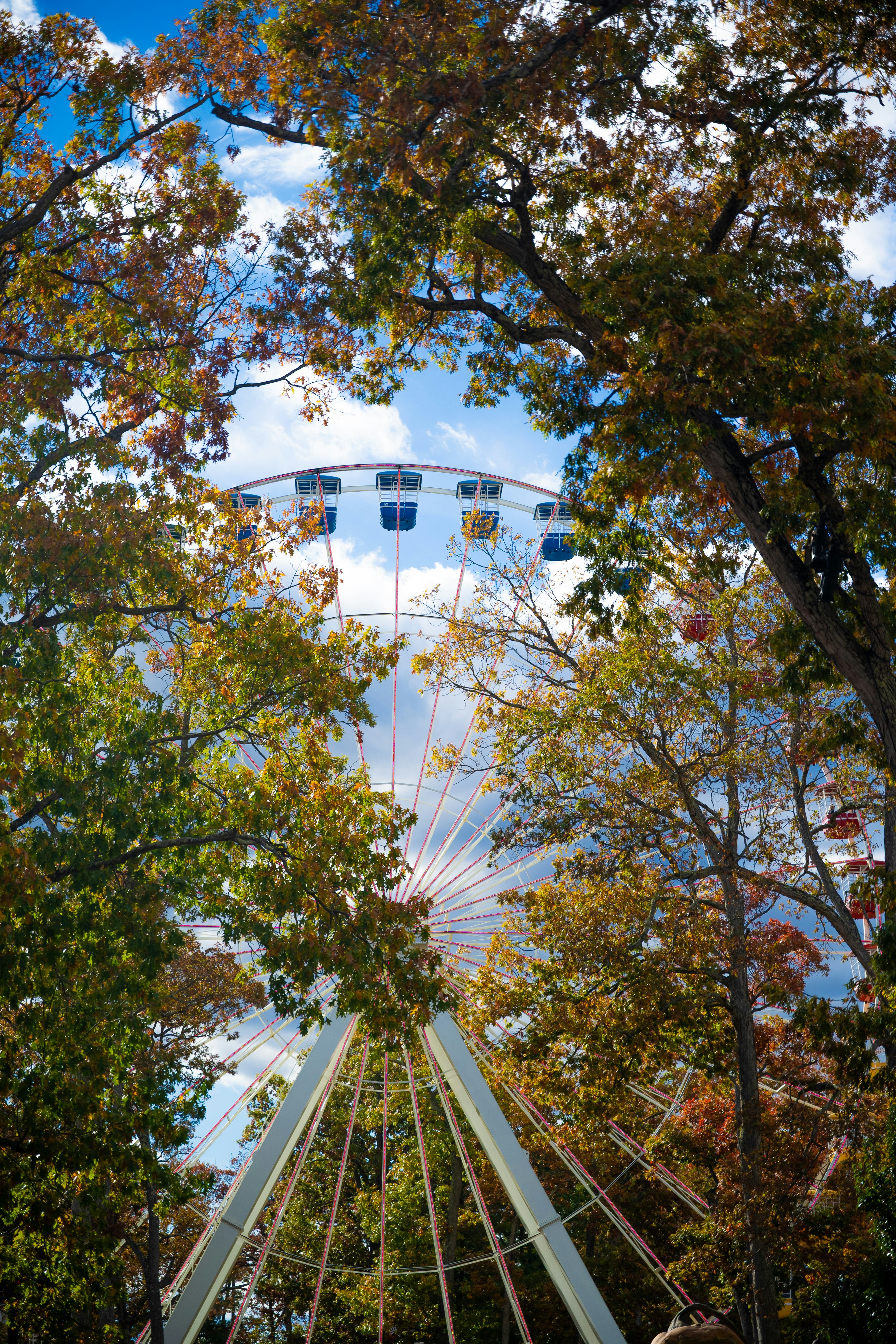 Whispers of Autumn at the Fairground