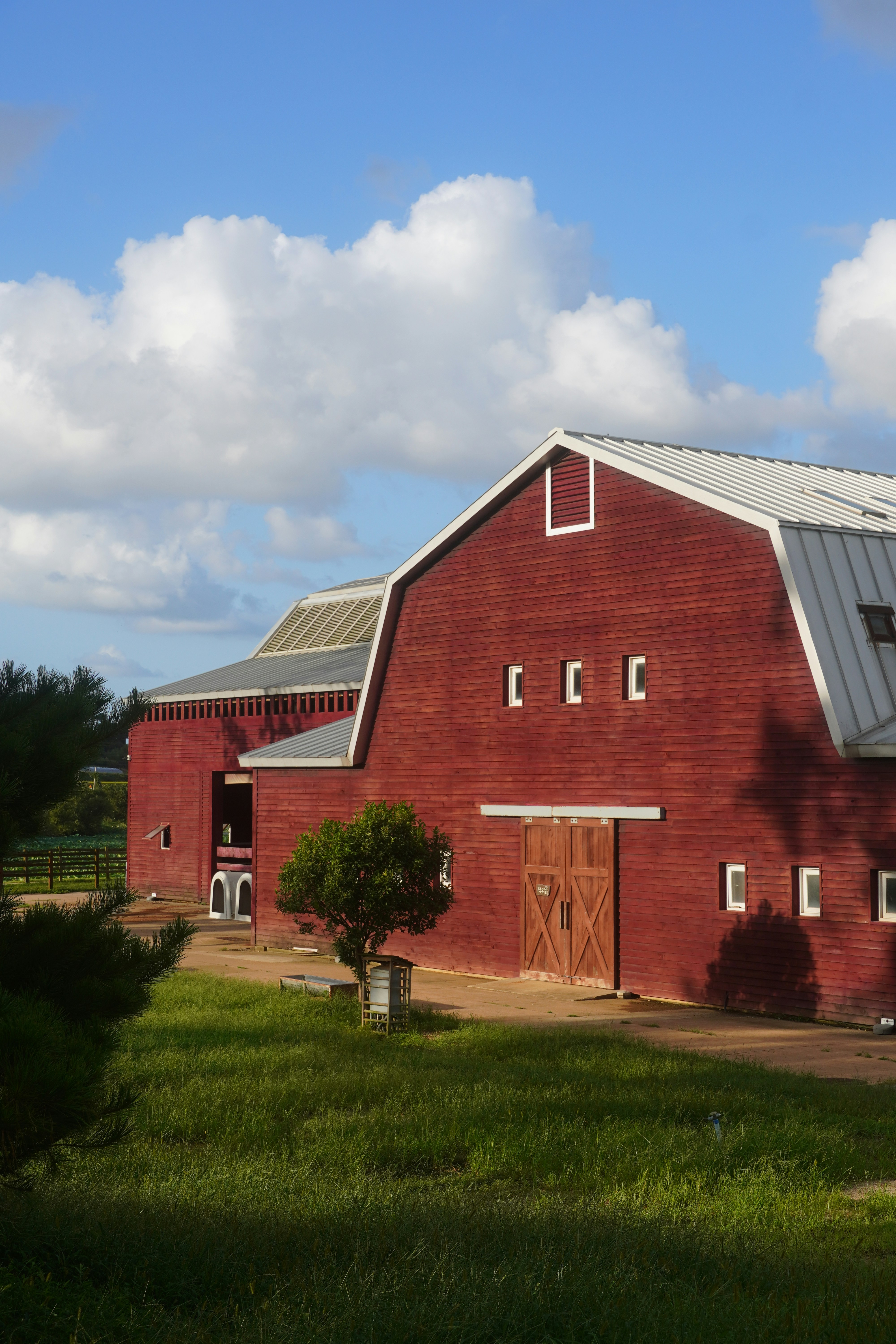 Red Barn Rhythm in a Sunlit Farmyard