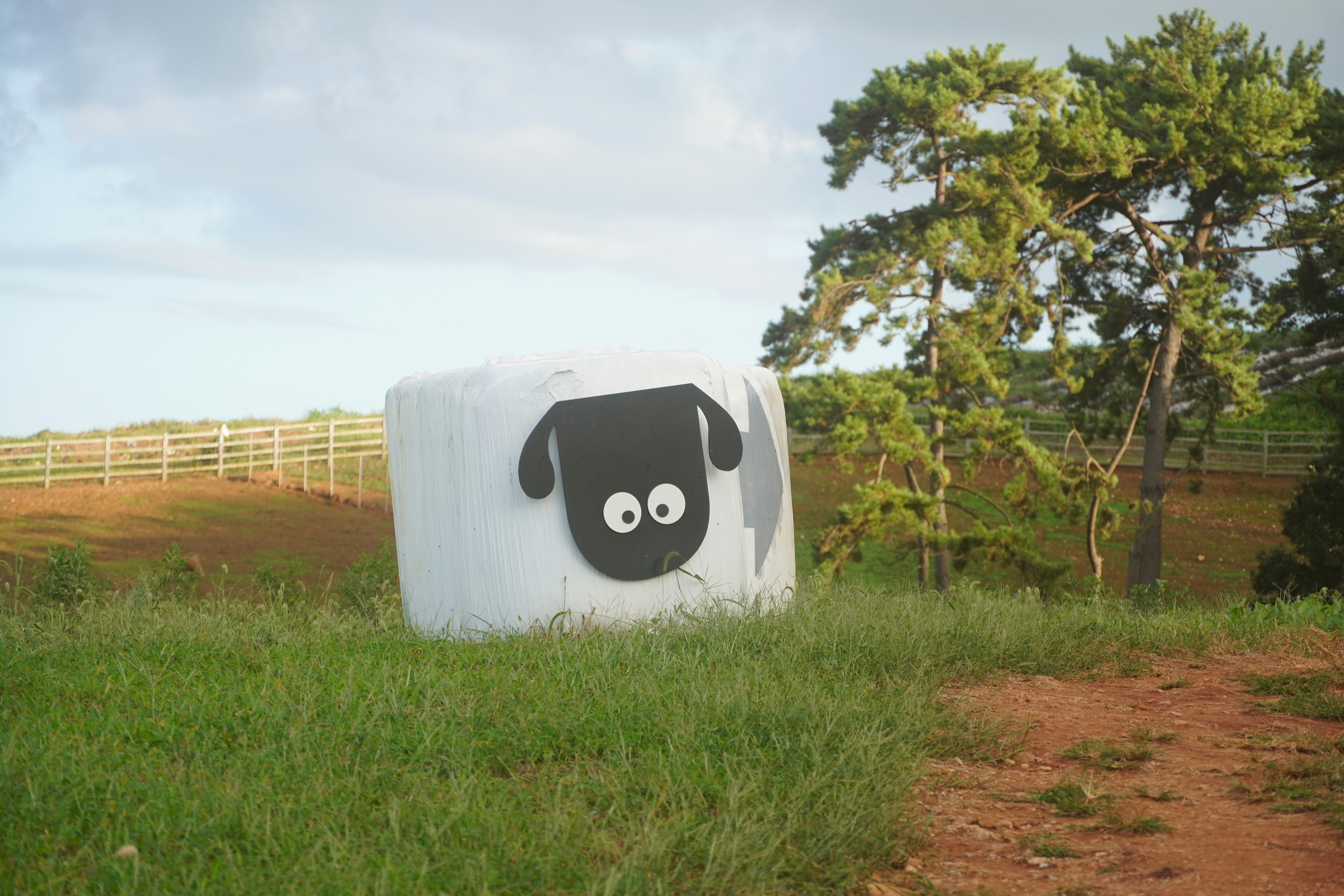 Whimsical Farmyard Charm