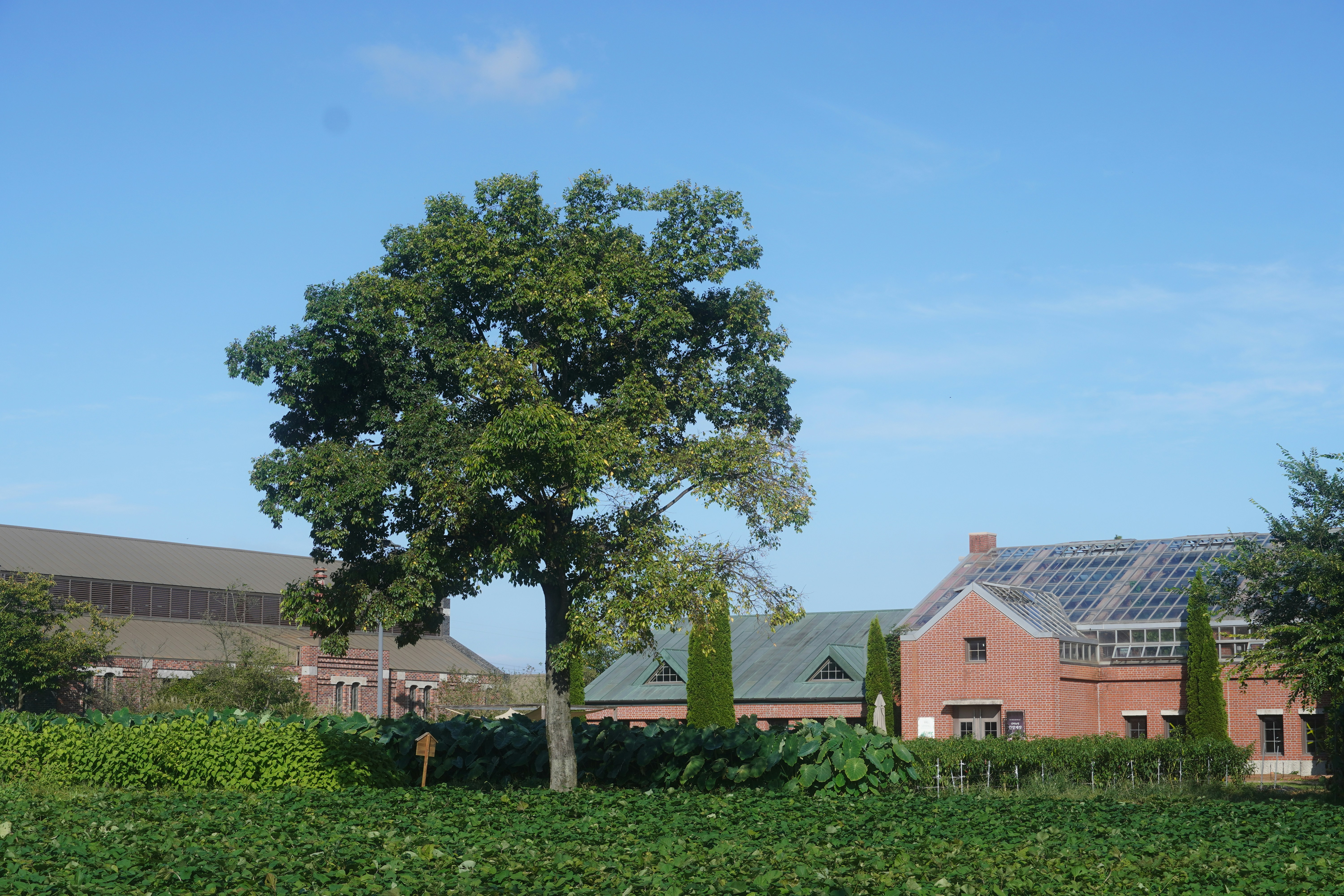 Harmony of Nature and Architecture