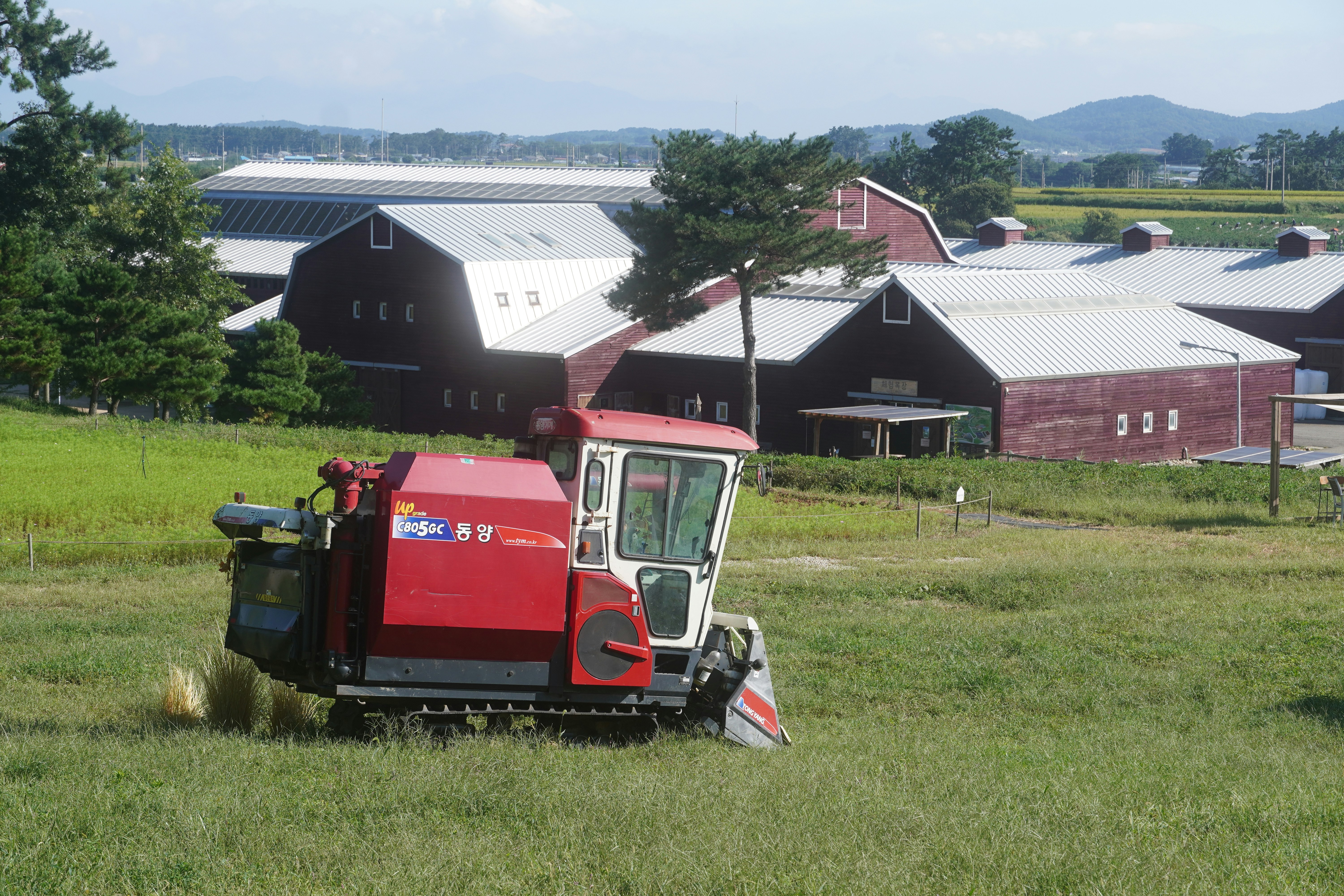Red Harvester in a Quiet Meadow, Farm Buildings Recede in the Distance