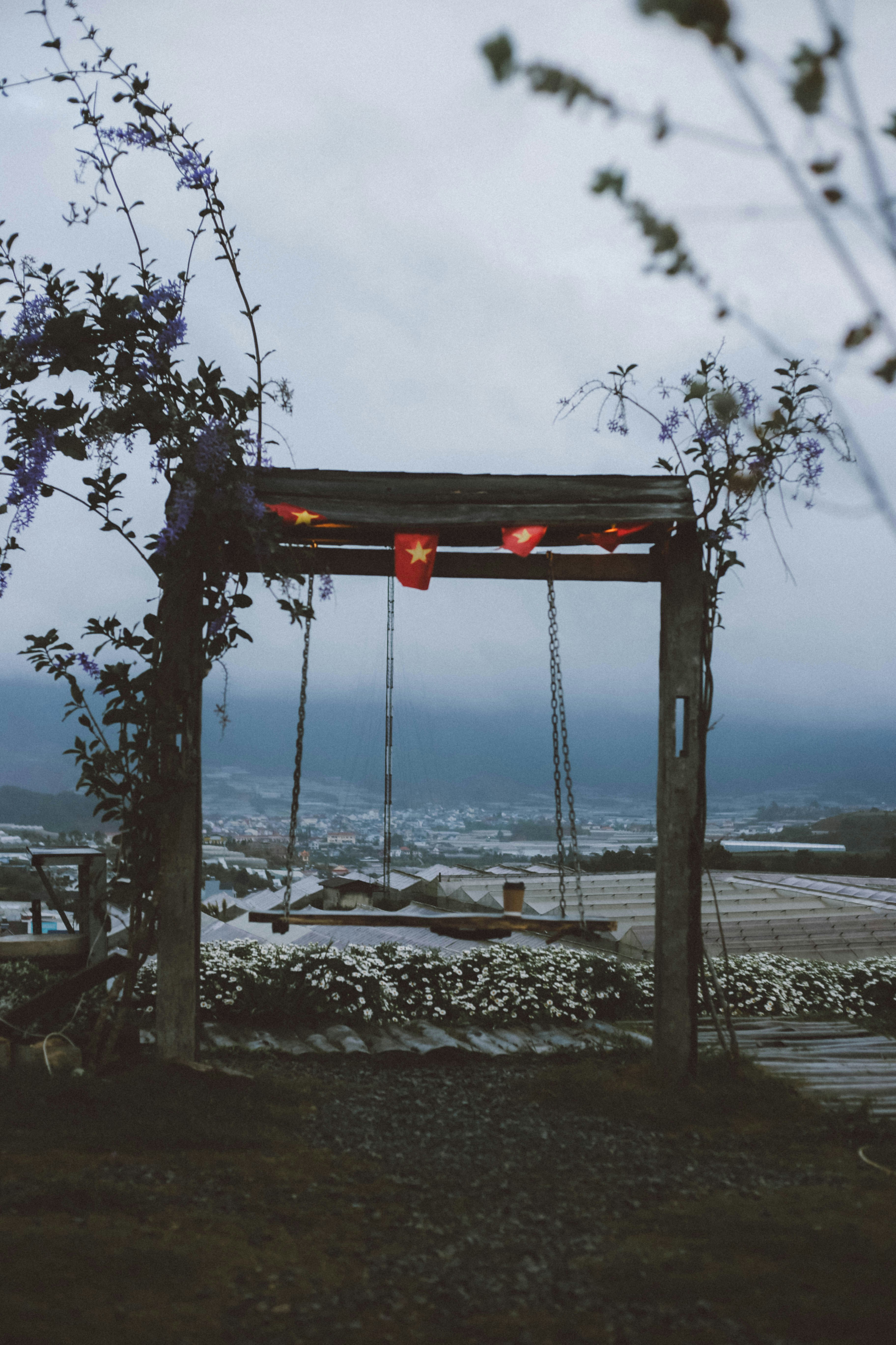 Swinging into Serenity: A Rustic Retreat