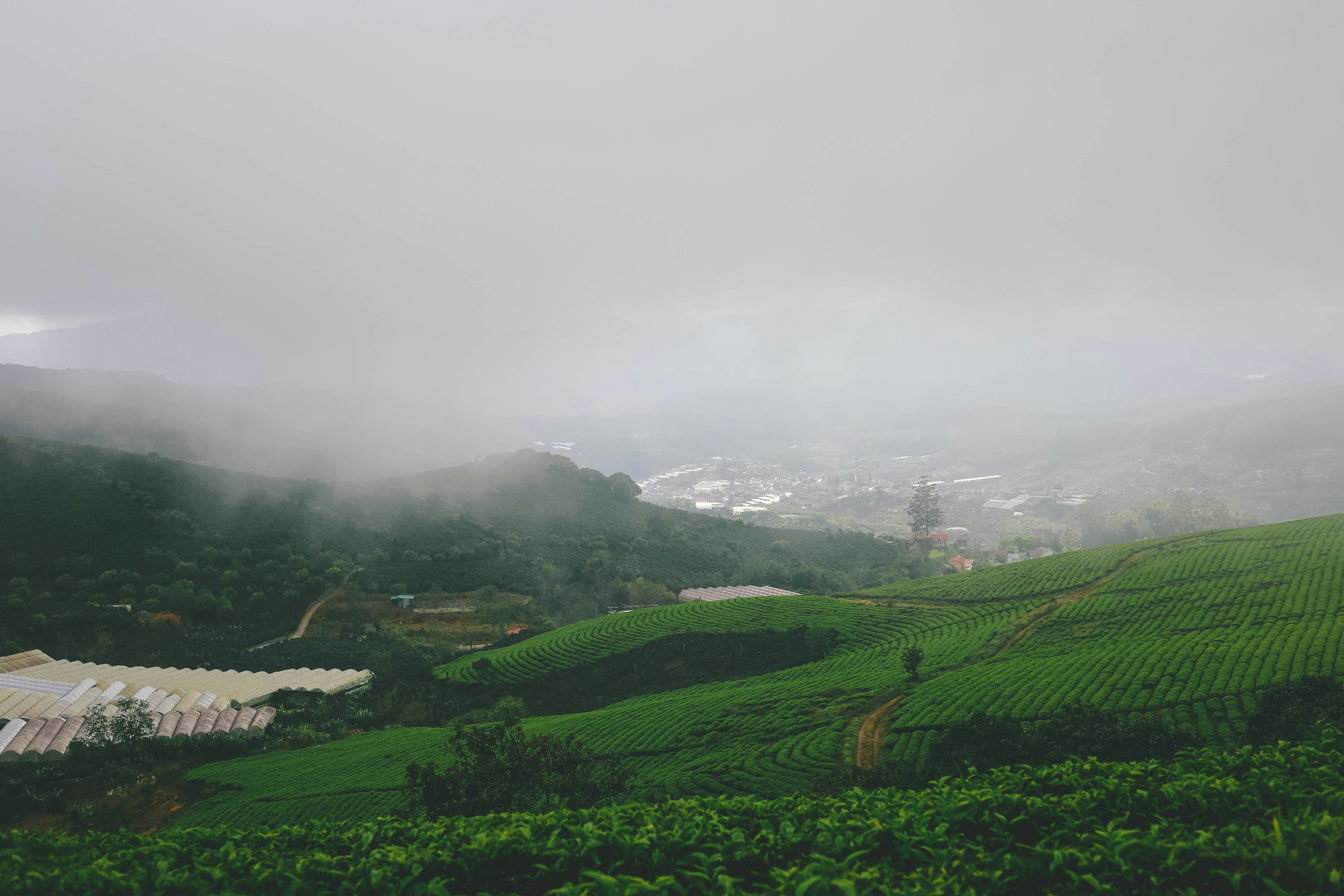 Misty green hills with a distant village below