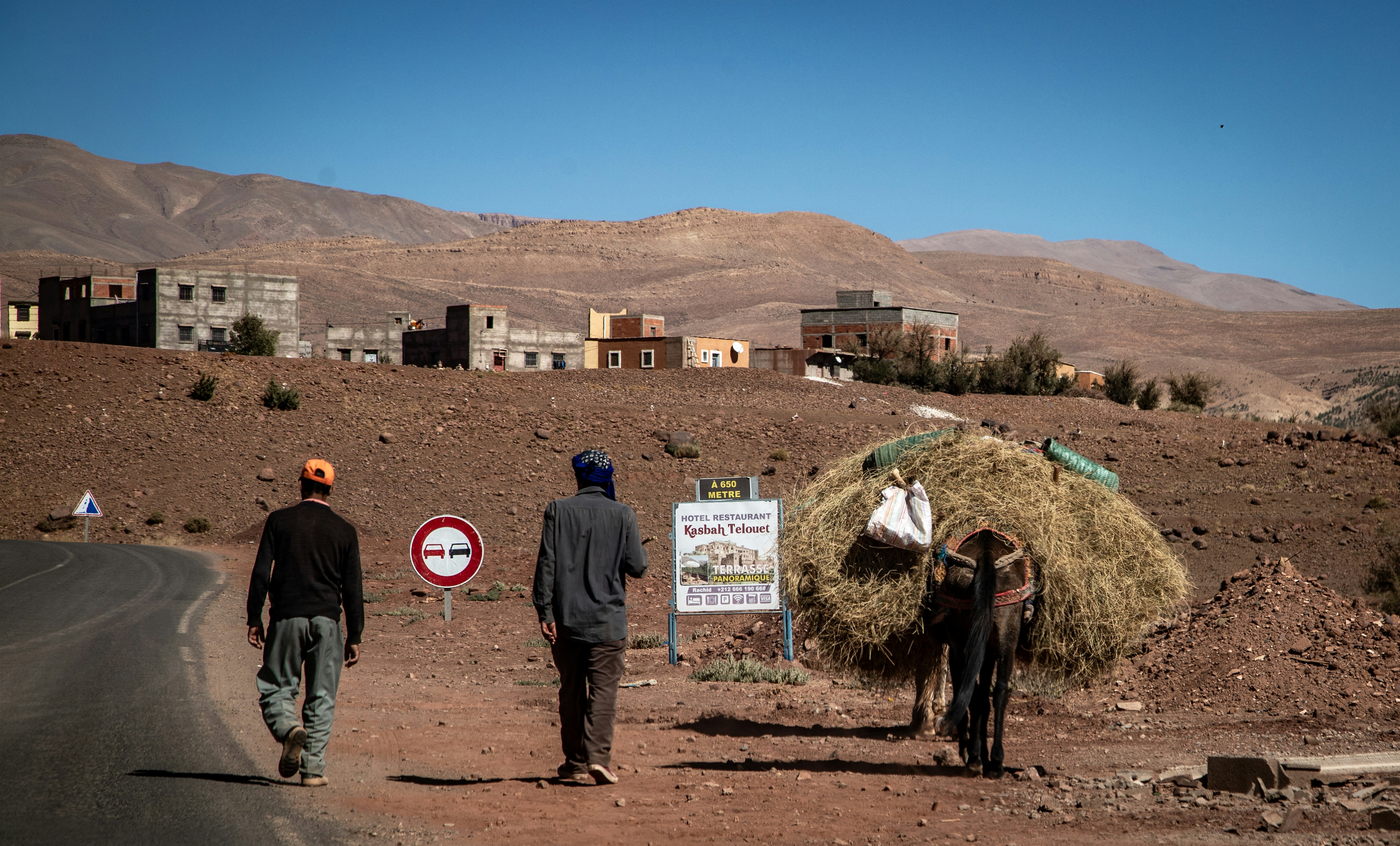 Dust Road Pilgrims Toward Arid Horizons