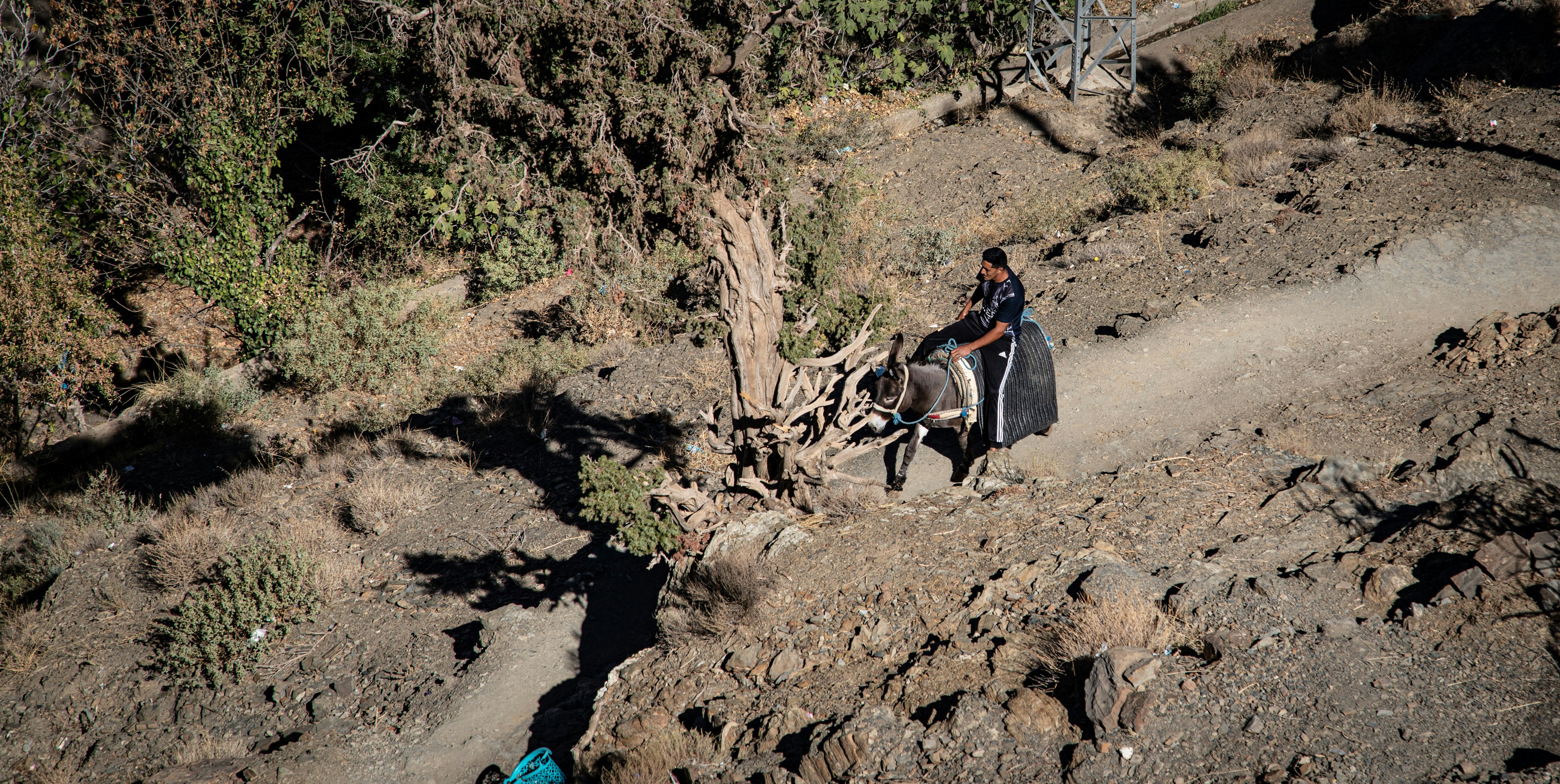 Journey Through the Rugged Terrain
