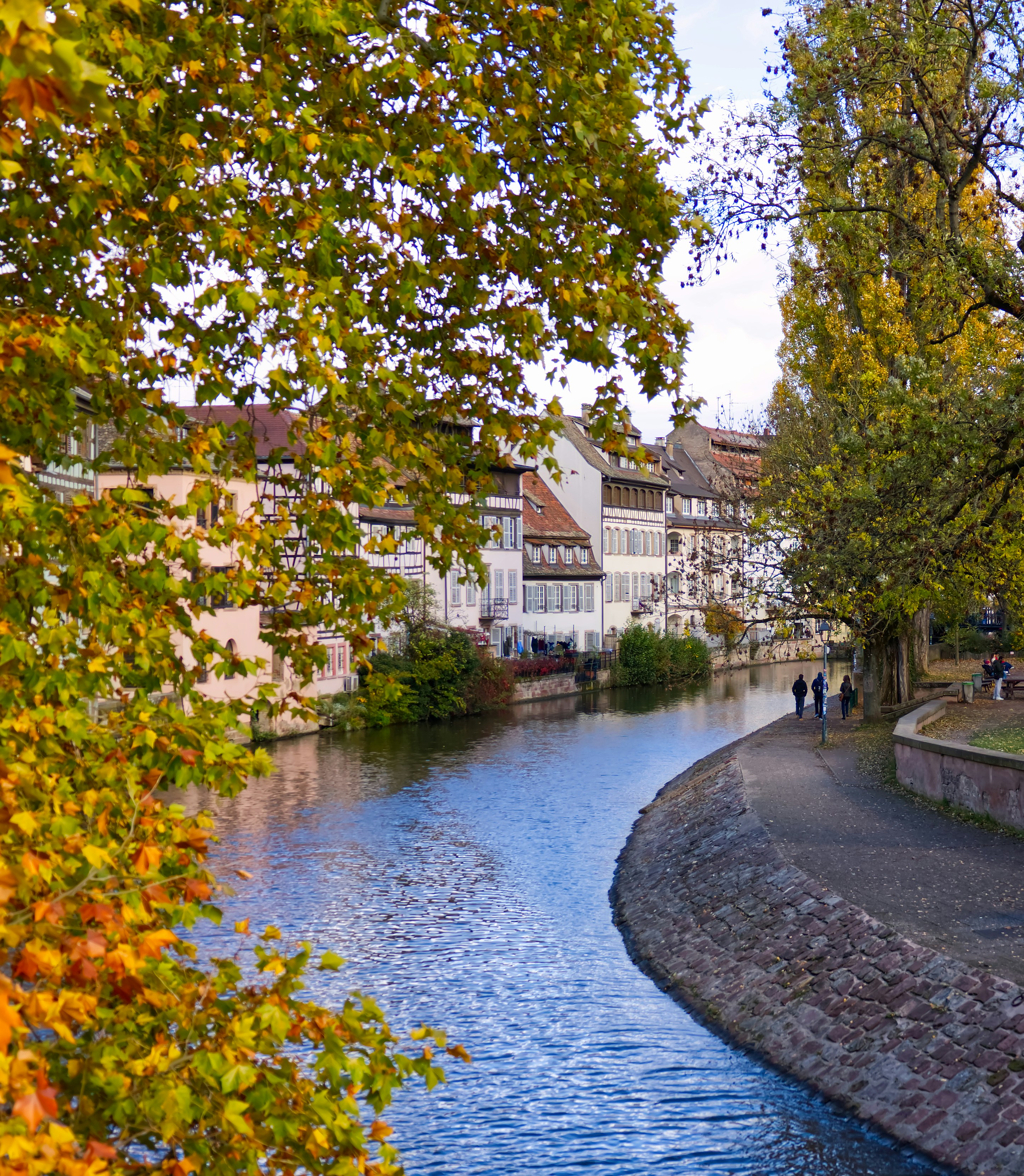 Serene Waterway Embraced by Autumn's Palette