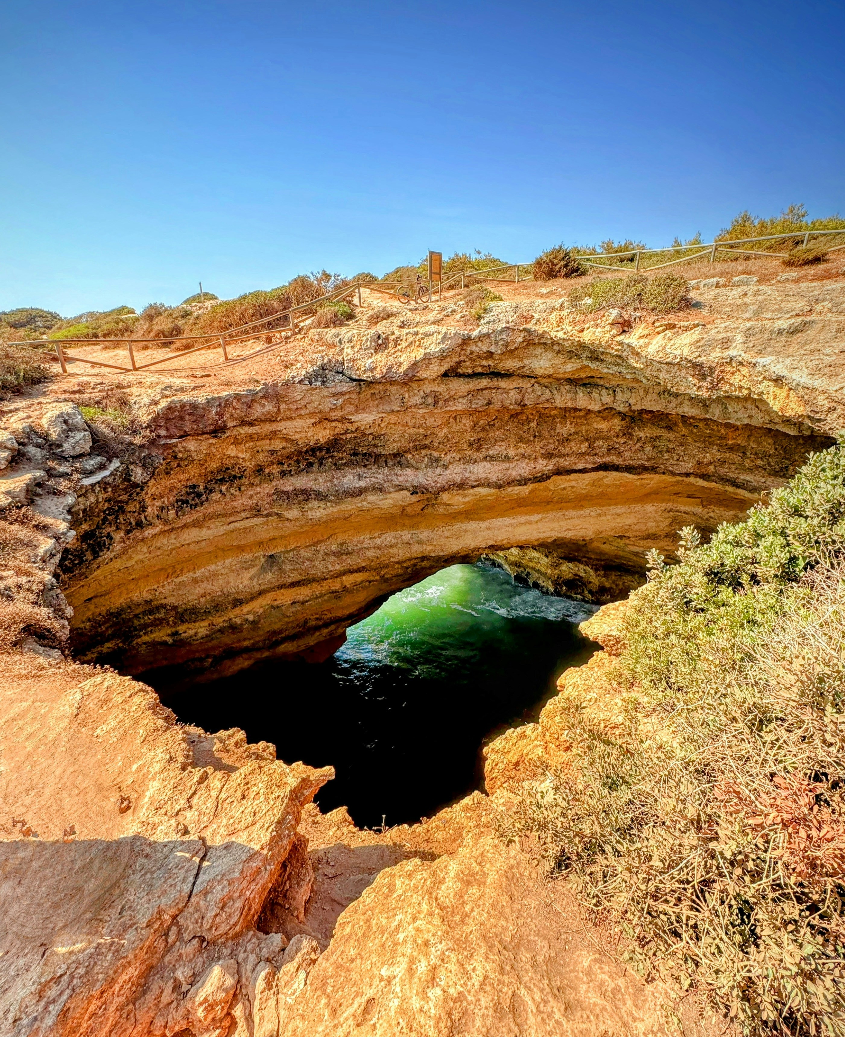 Green Heart of the Cliff: Sea Arch Overlook