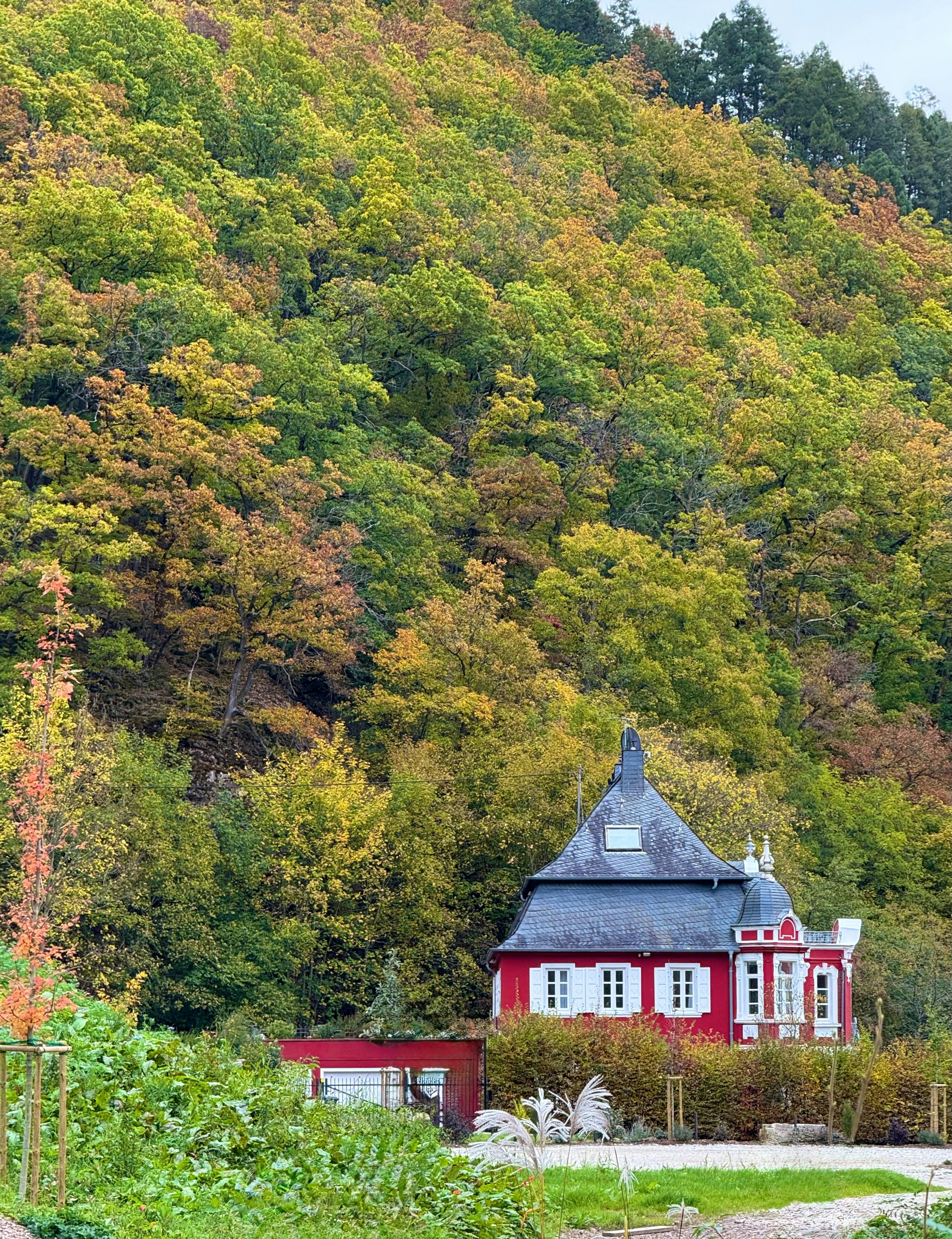 Charming Retreat Amidst Autumn's Embrace