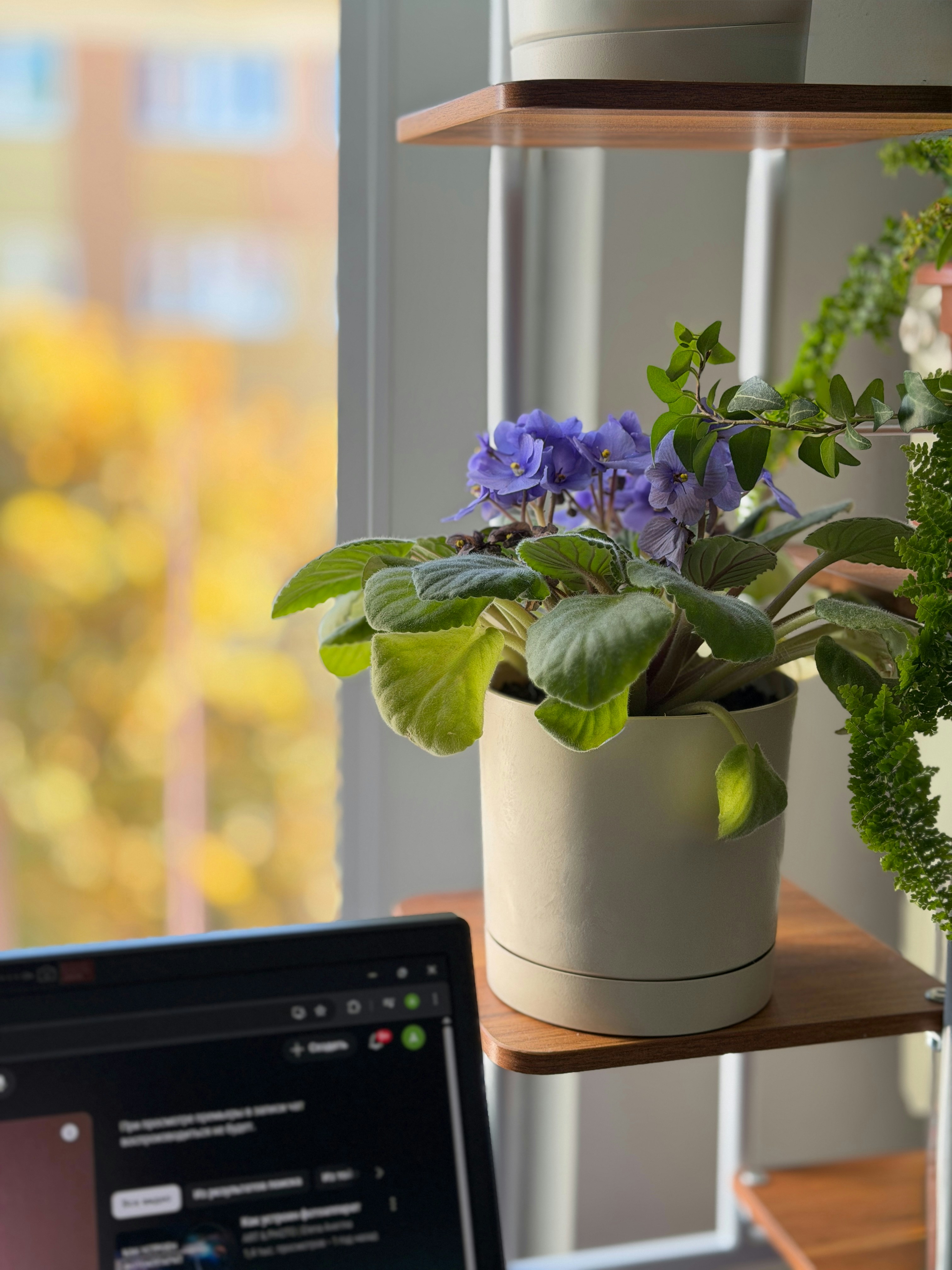 Nature's Serenity in a Modern Workspace