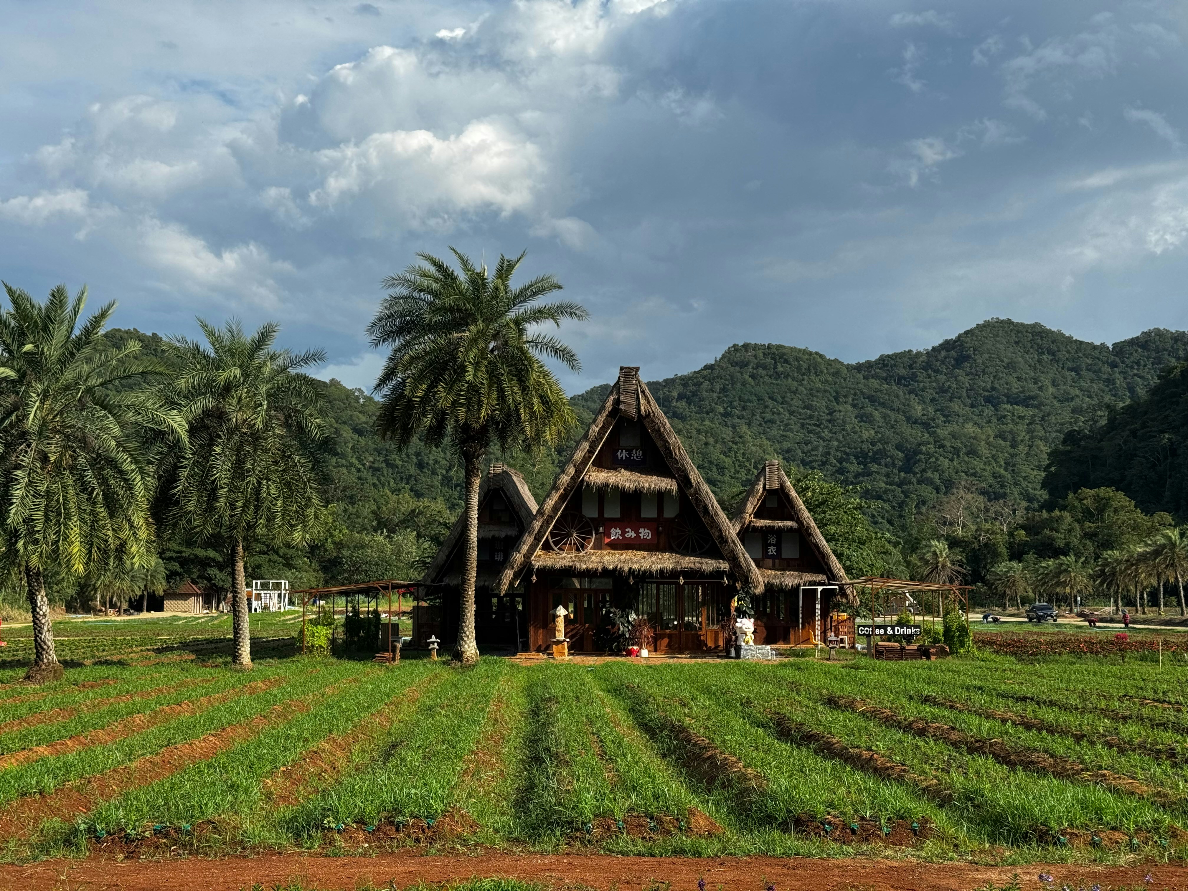 Thatched roof houses in a lush green field.
