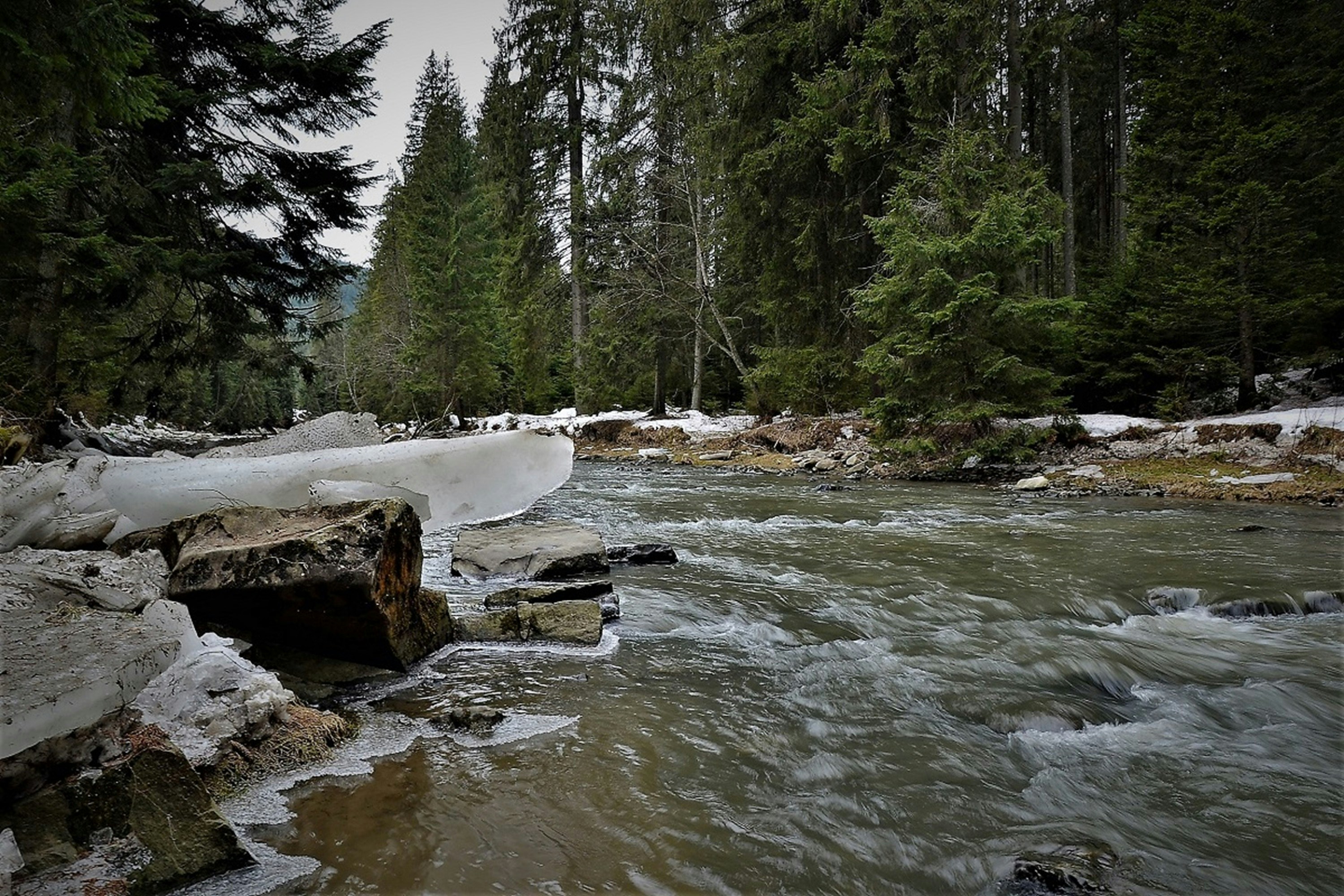 A river flows through a snowy forest landscape.