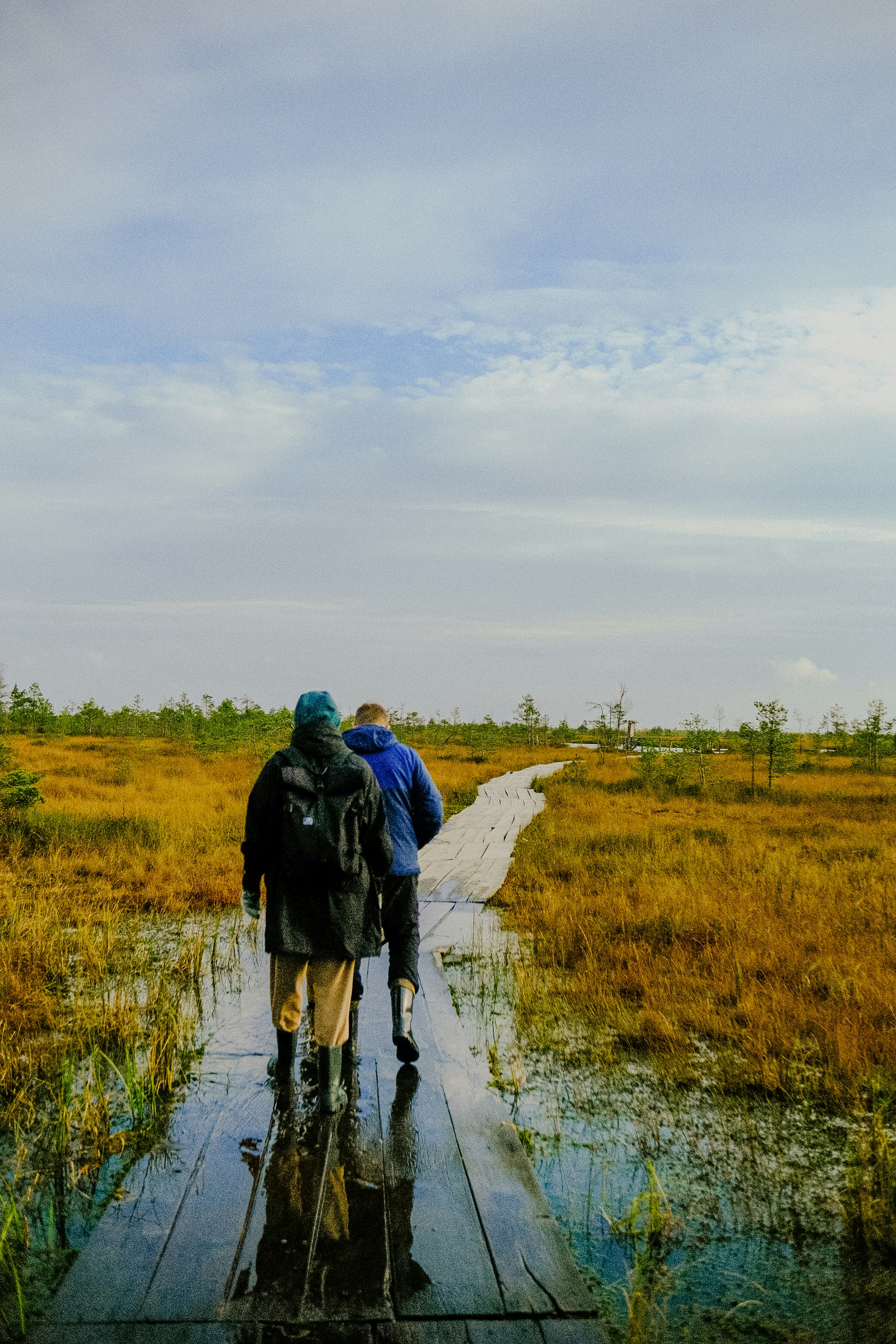 Boardwalk Walkers: Two Hikers Treading a Narrow Wetland Path