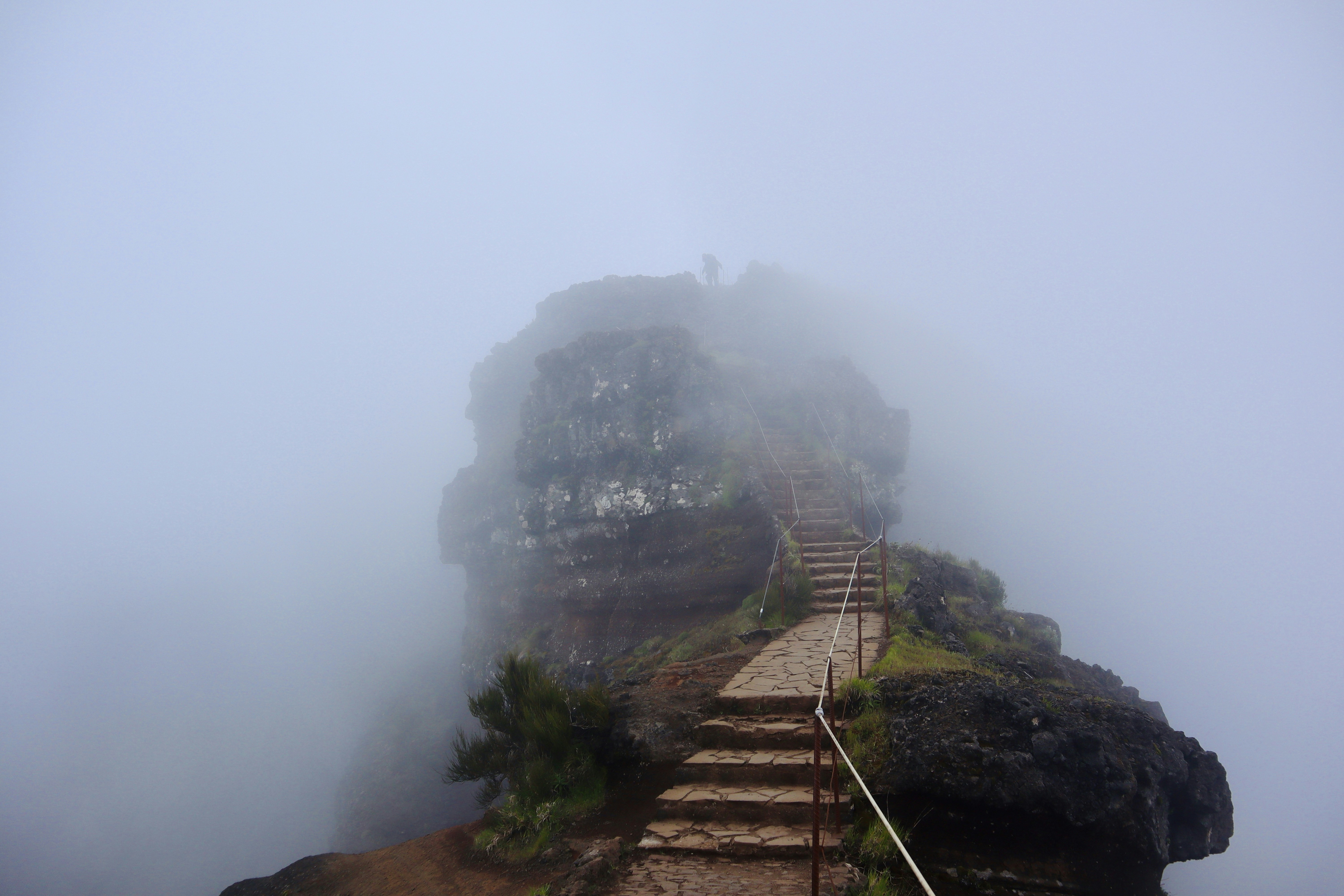 Pathway to the Unknown: A Journey Through the Mist