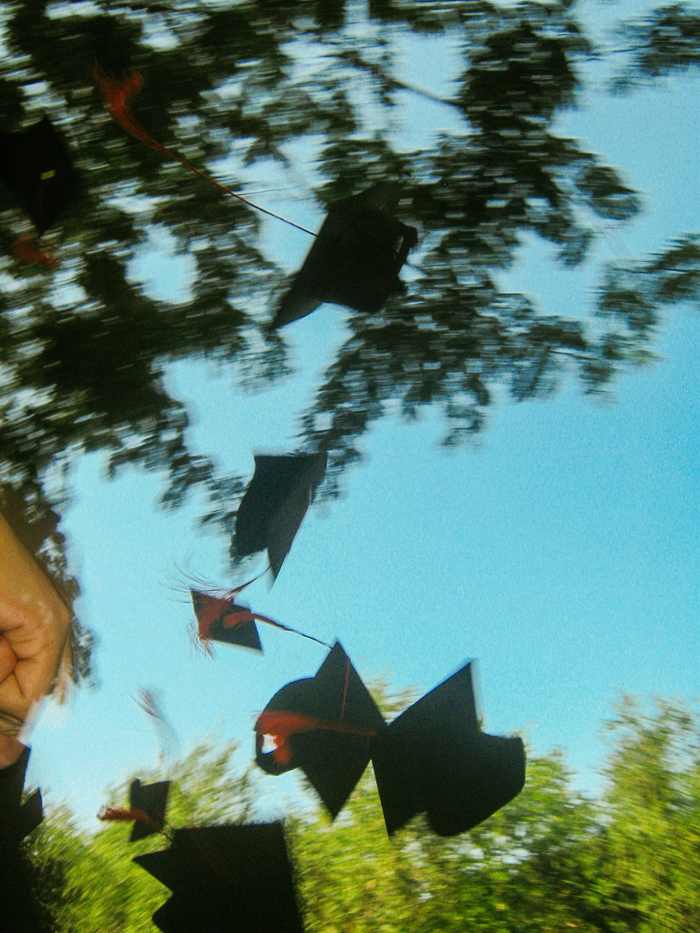 Graduation caps soar through the air as a hand reaches out, symbolizing achievement and new beginnings.