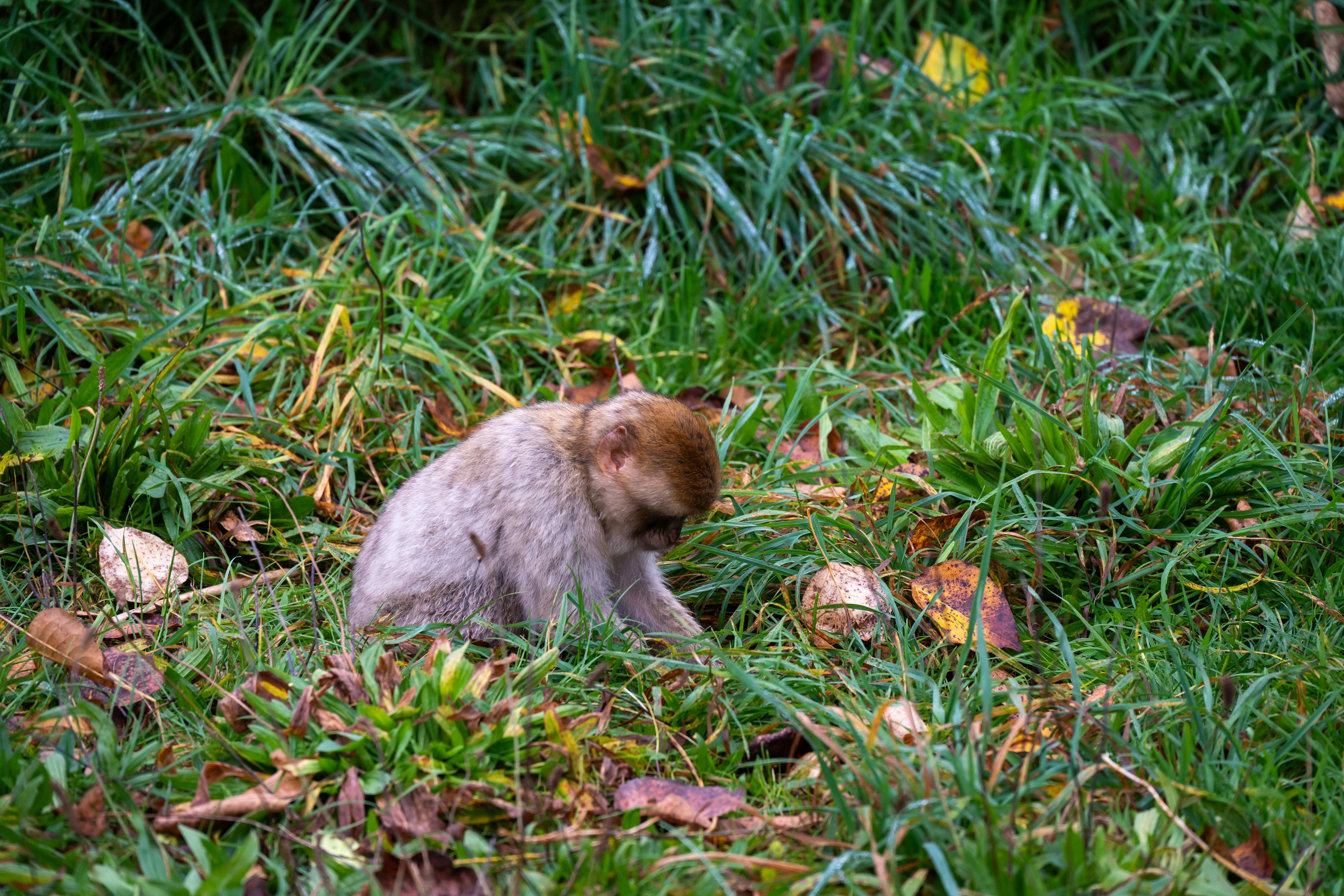 Photo by Julia Taubitz with Nikon Z6 III