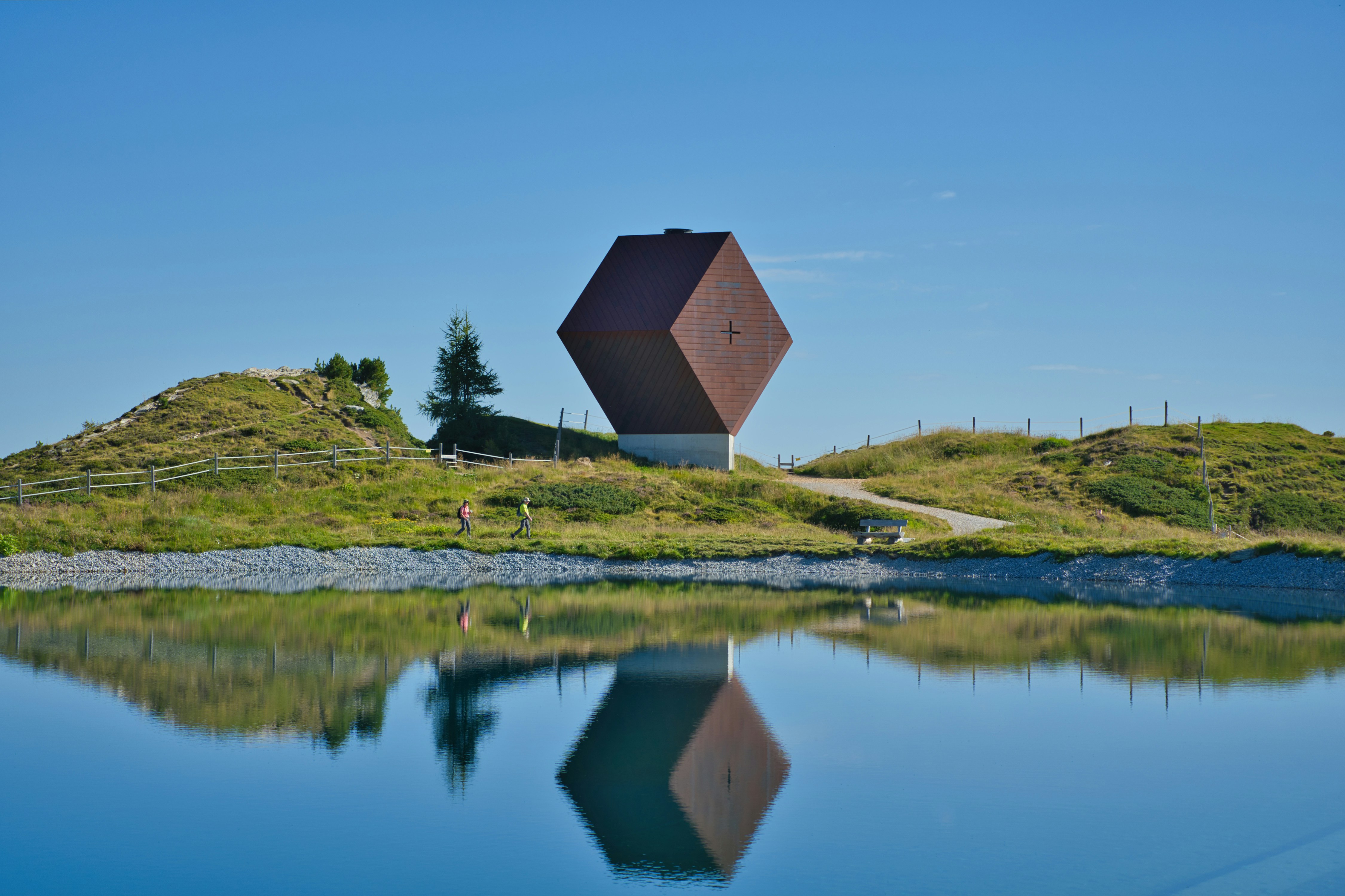 Geometric Harmony: Nature Meets Modern Design