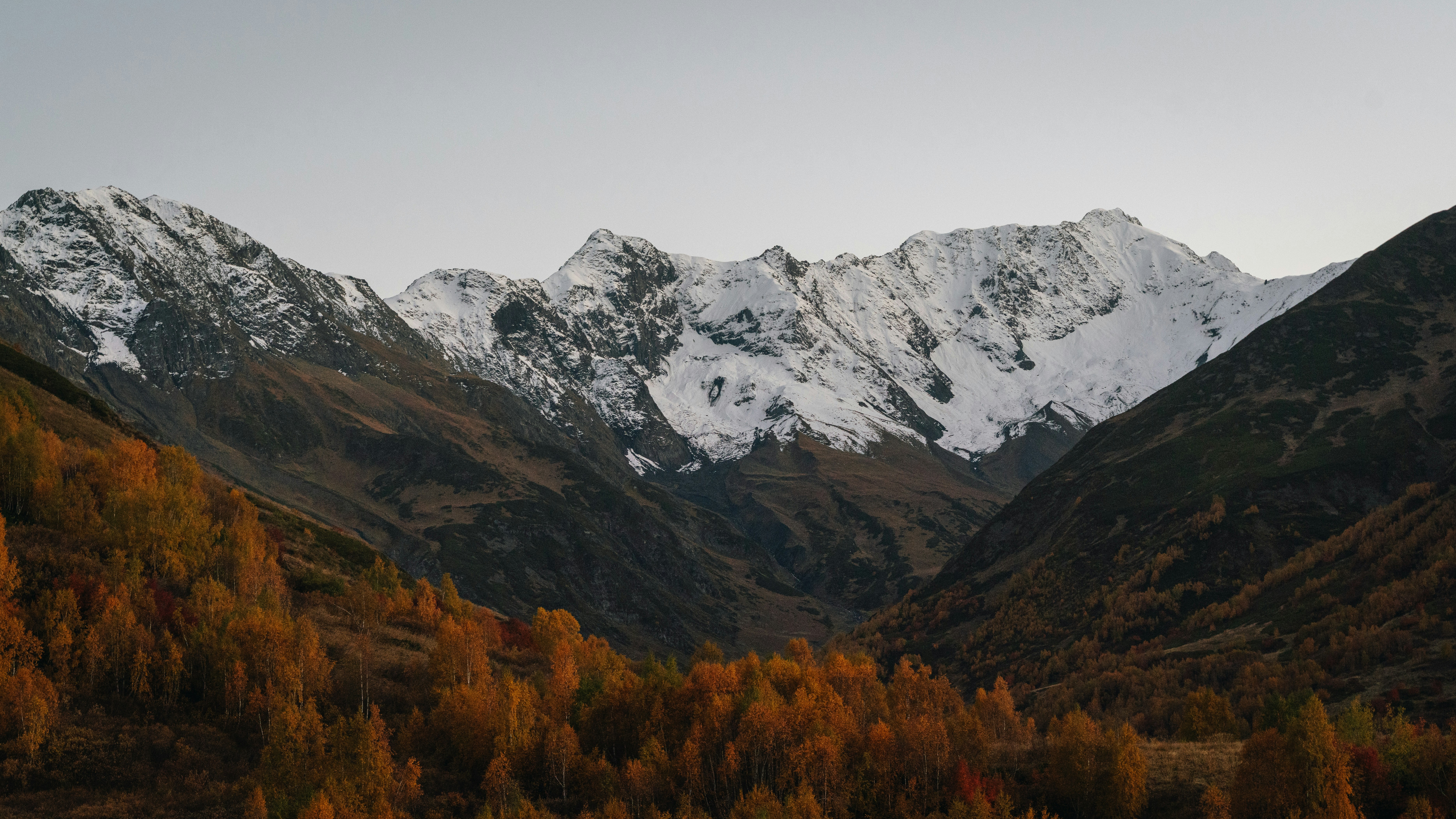 Autumn's Embrace in the Alpine Heights