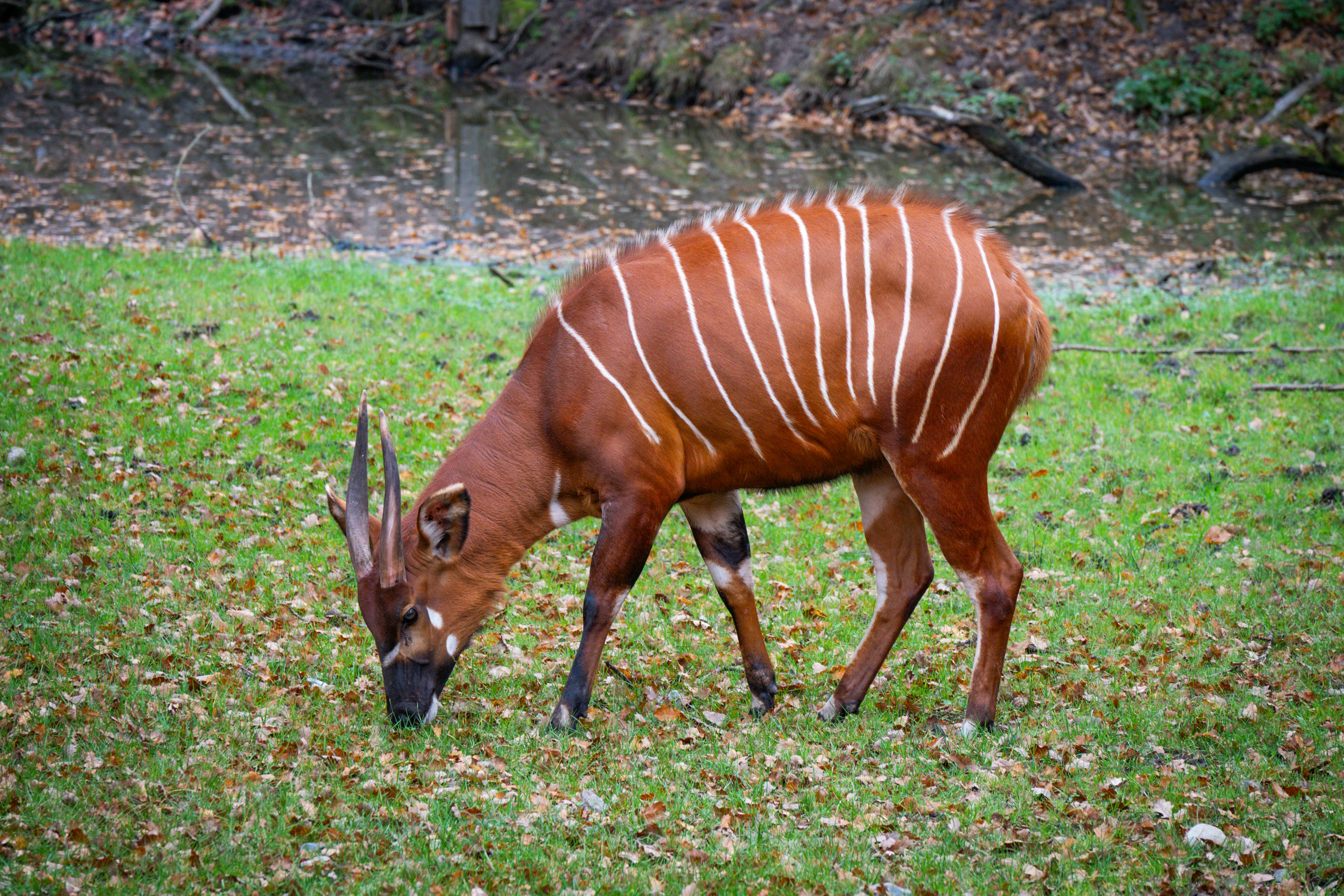 Photo by Julia Taubitz with Nikon Z6 III