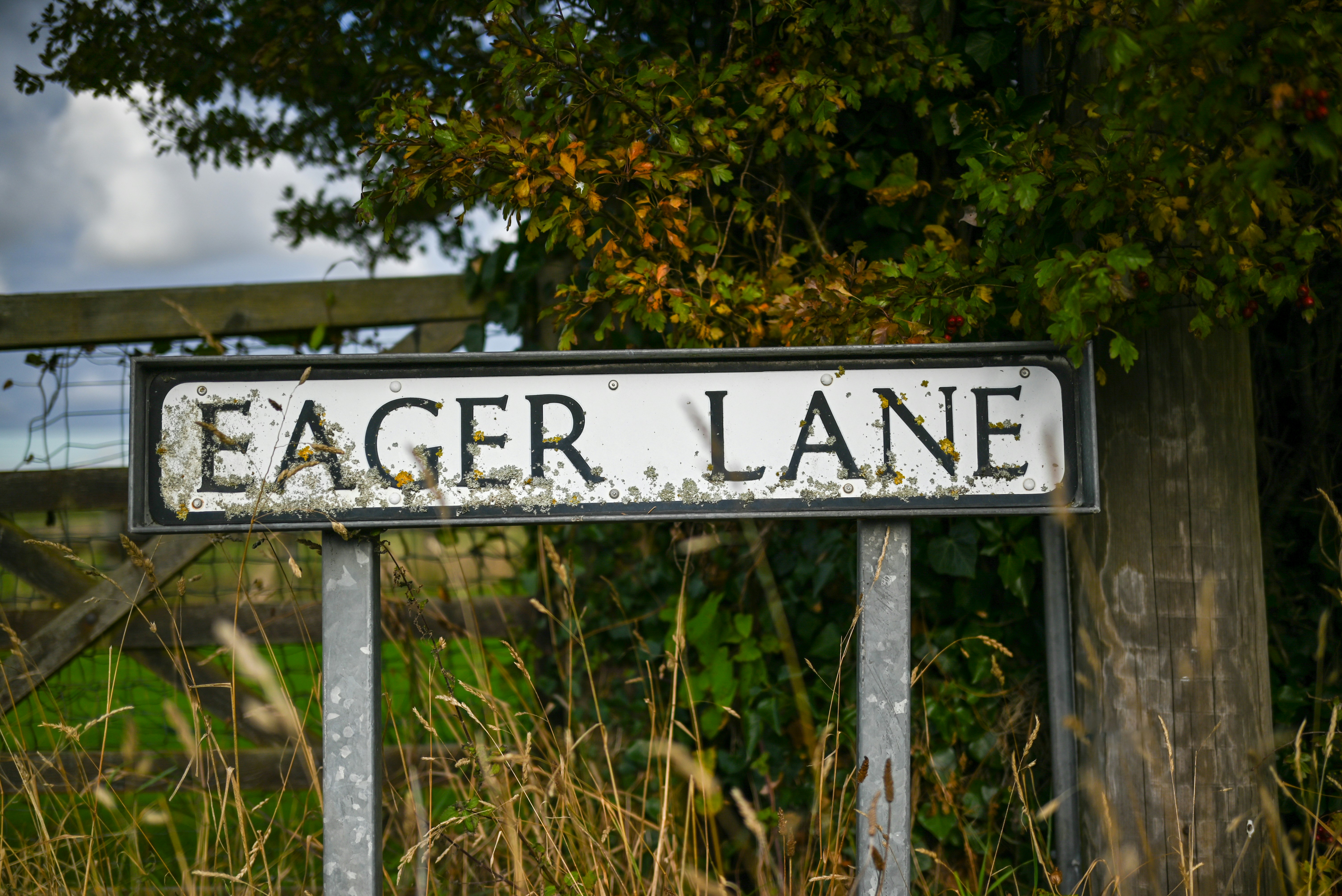 The Forgotten Pathway: A Glimpse of Eager Lane