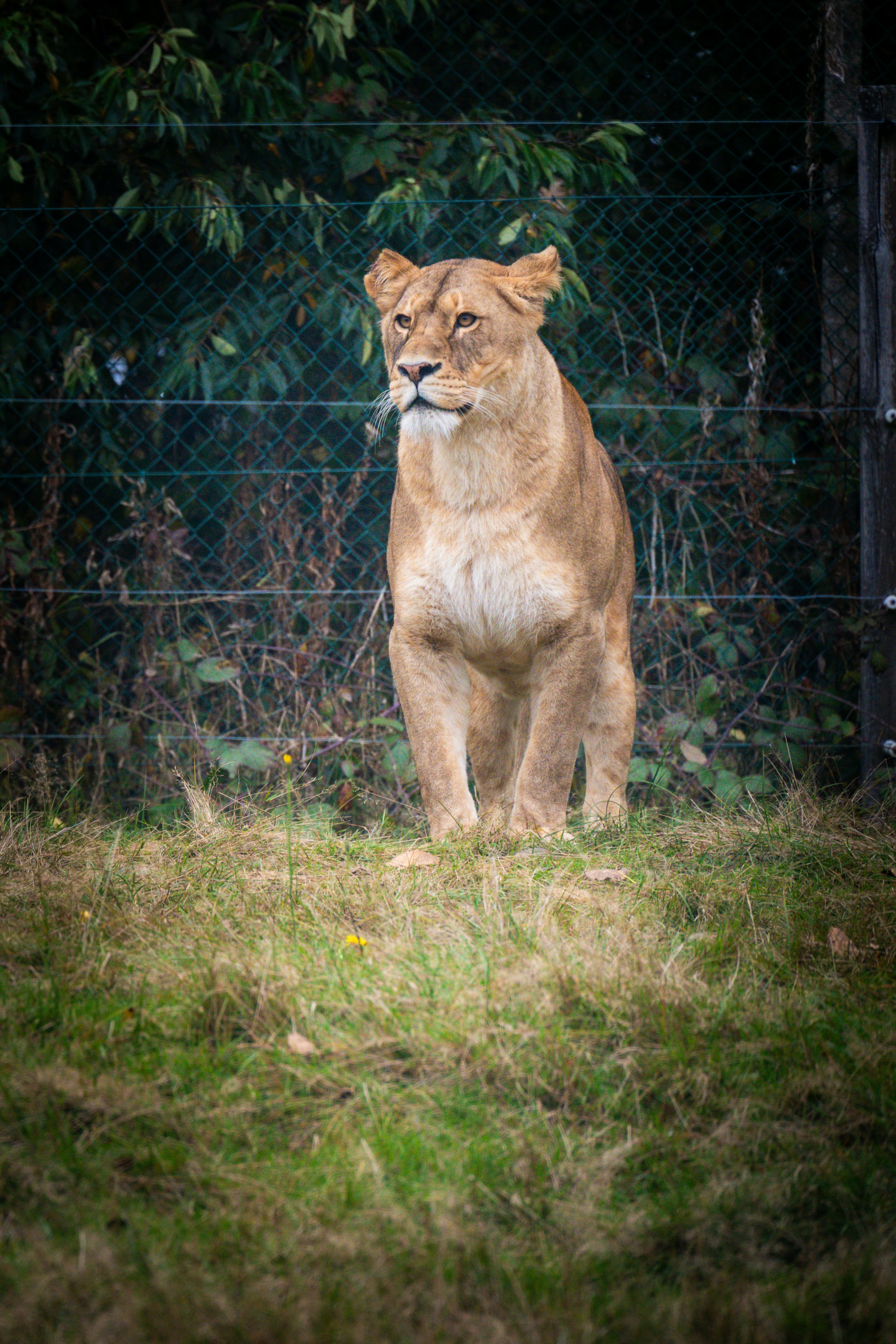 Photo by Julia Taubitz with Nikon Z6 III